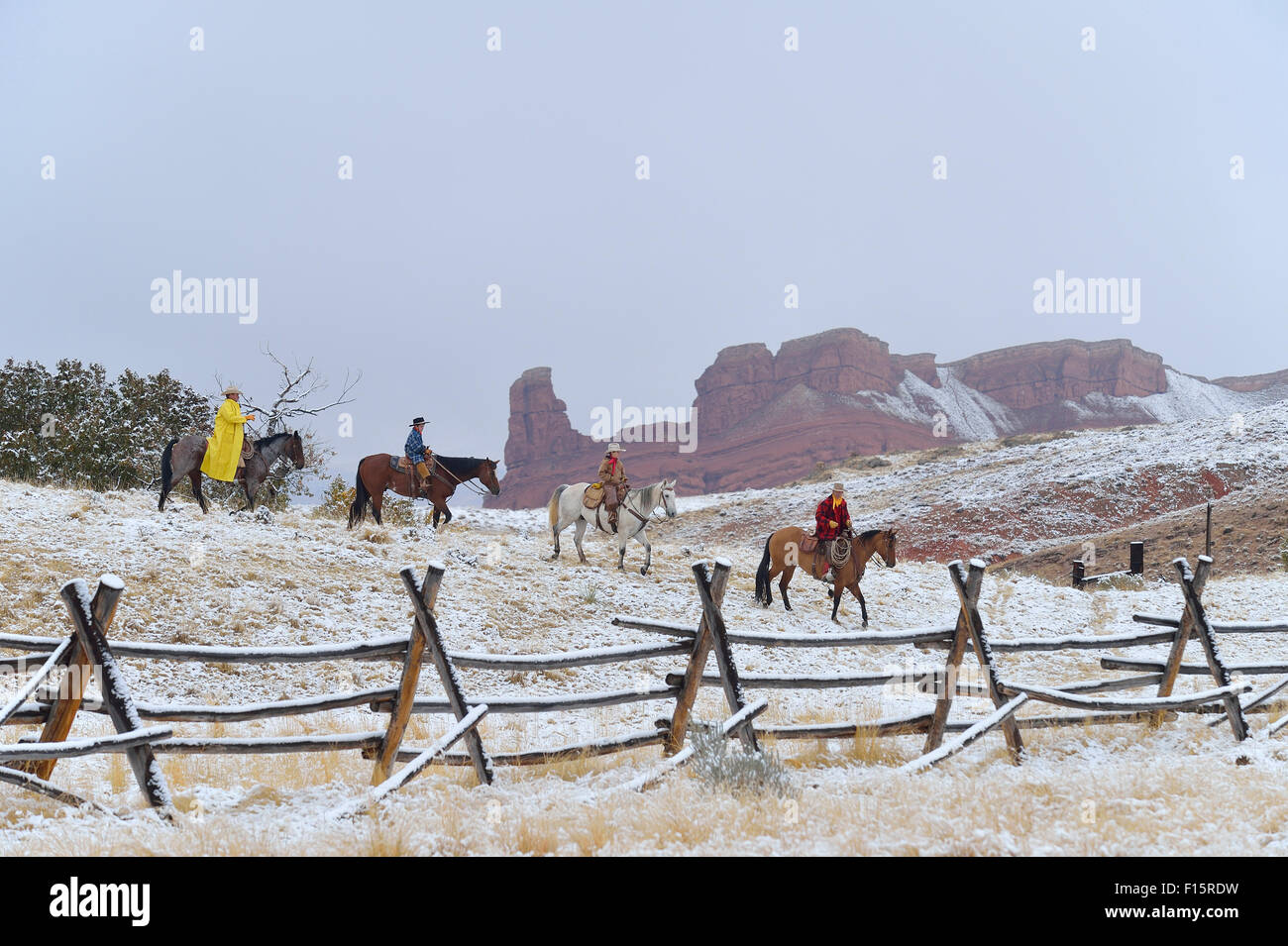 Cowboys with Two Young Cowboys Riding Horses in Snow, Rocky Mountains ...