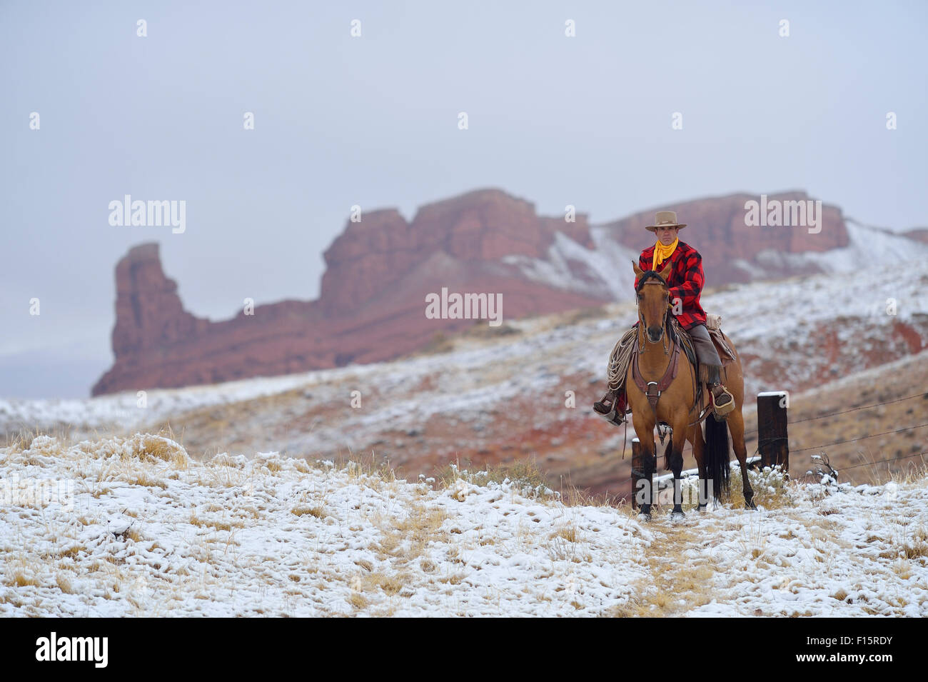 Cowboy Riding Horse in Snow, Rocky Mountains, Wyoming, USA Stock Photo ...
