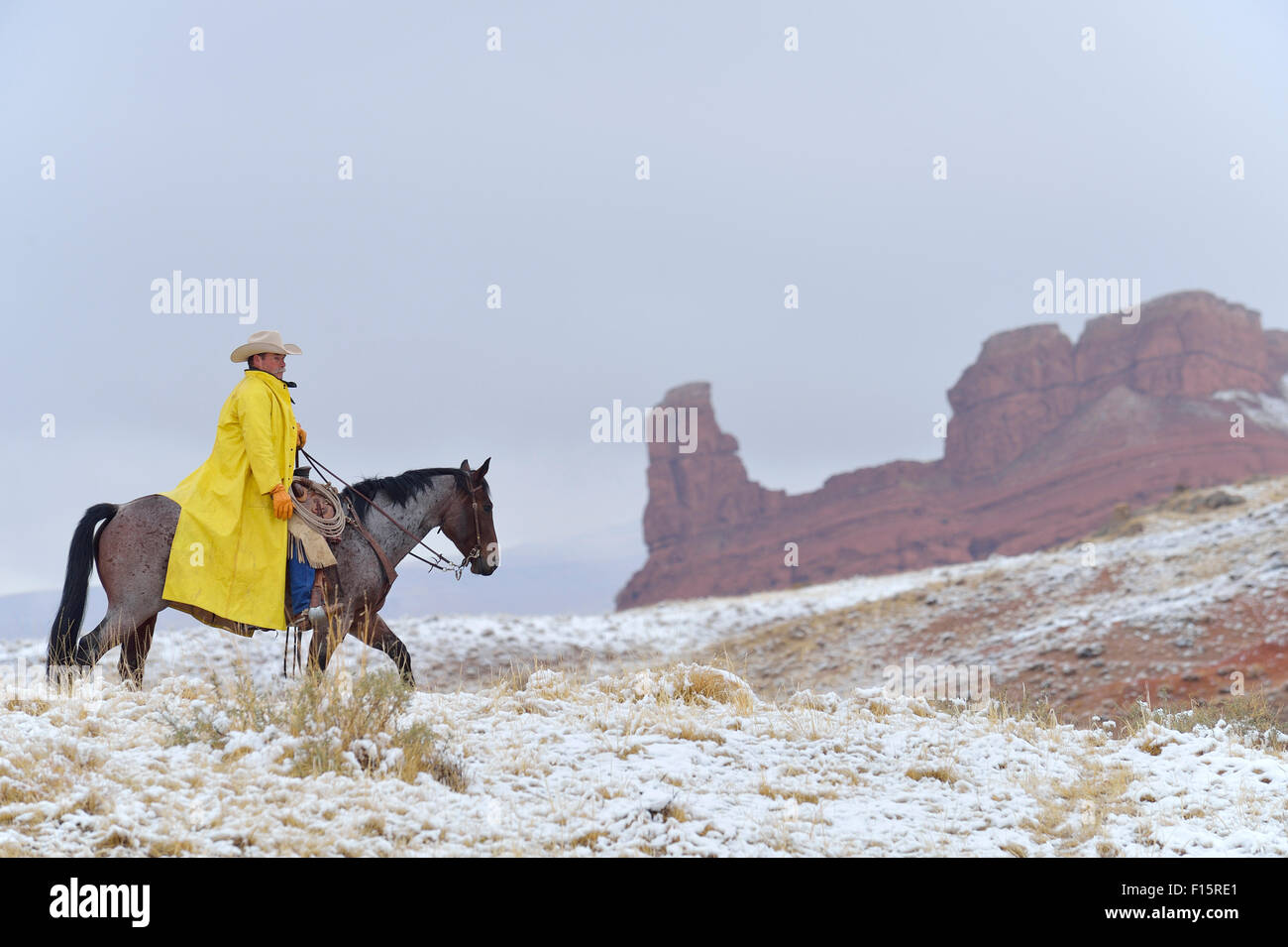 Men riding horse snow hi-res stock photography and images - Alamy