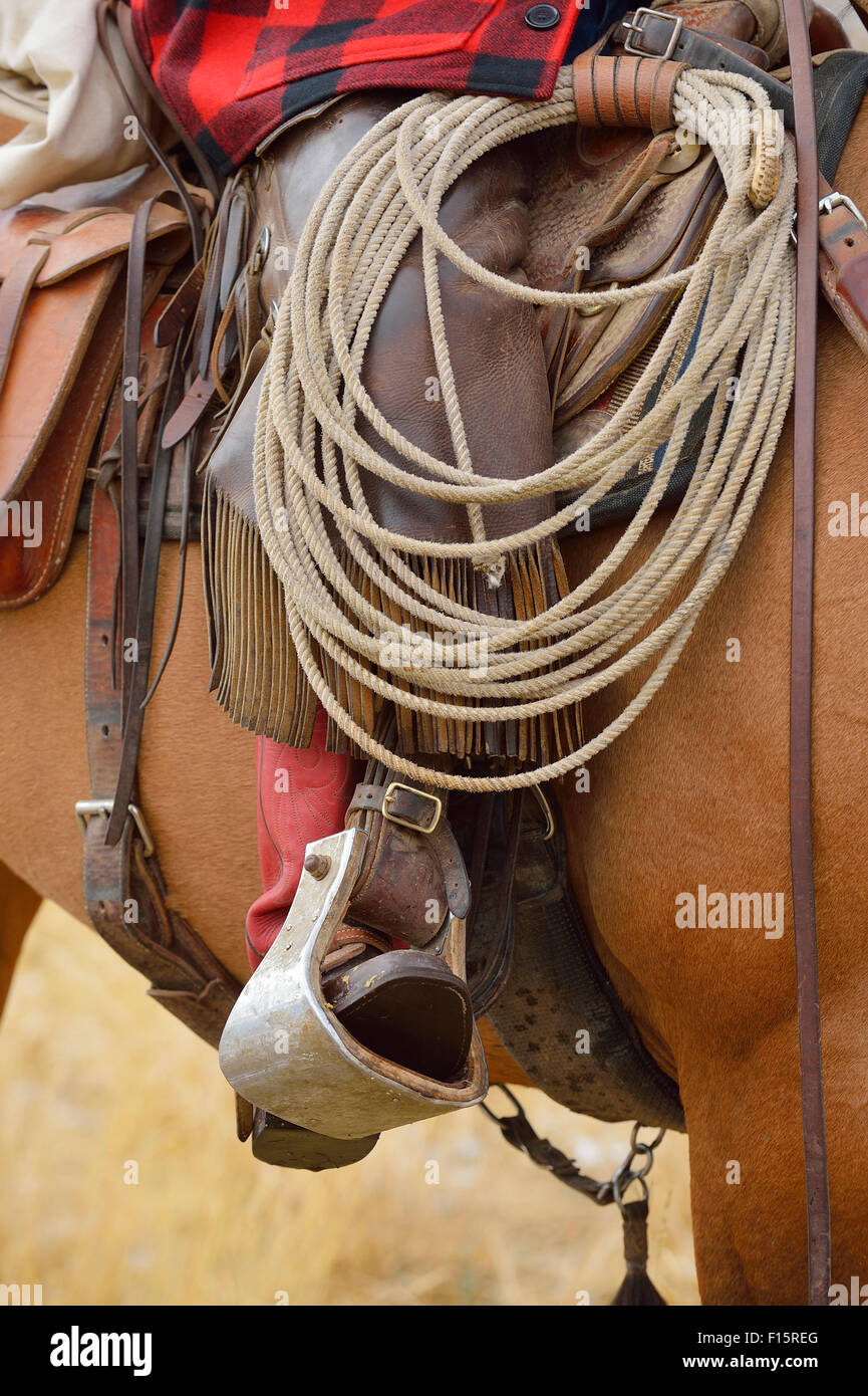 Close-up of Cowboy Riding Horse with Foot in Stirrup, Wyoming, USA ...
