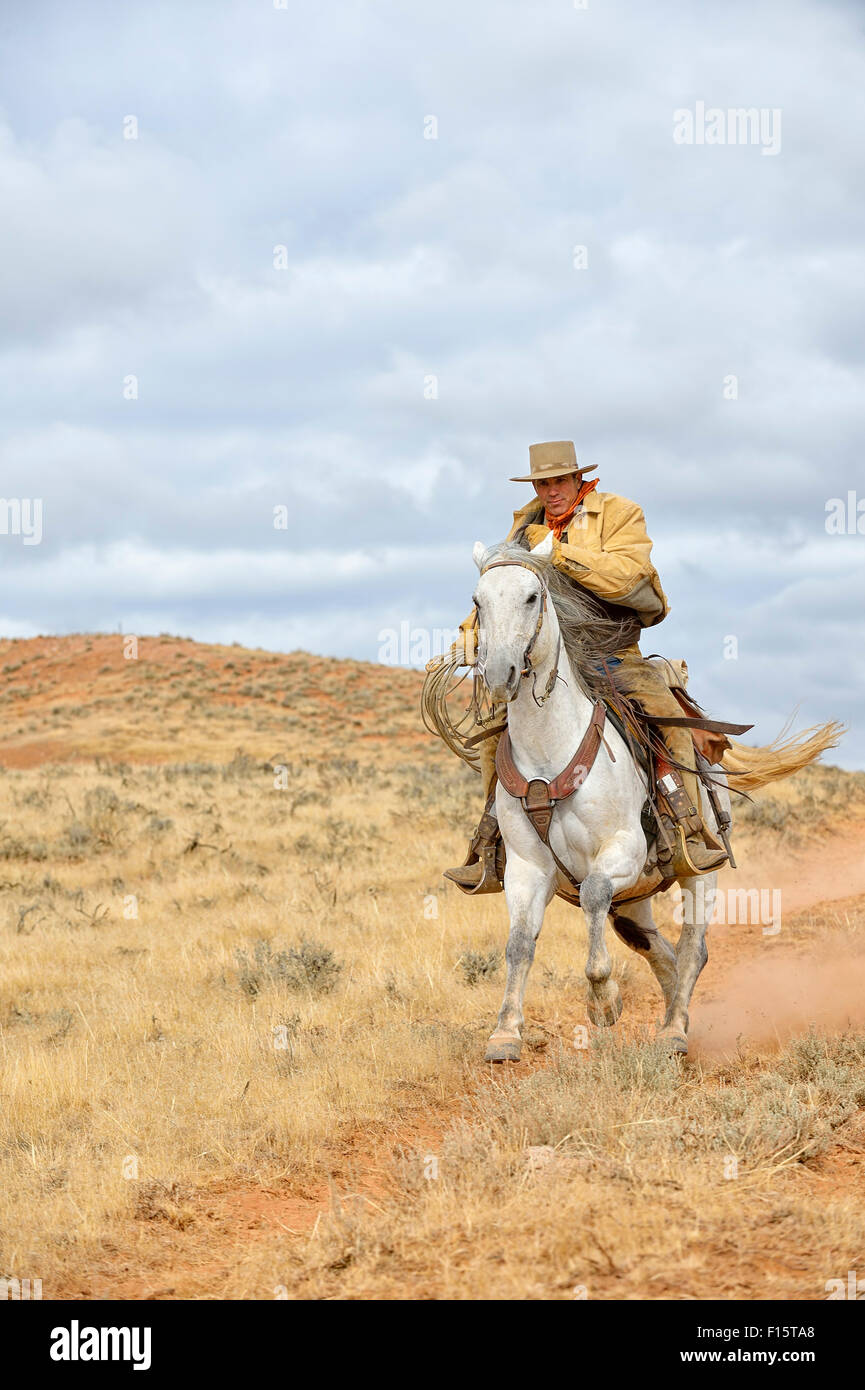 Cowboy Riding Horse with Rope in Hand, Shell, Wyoming, USA Stock Photo ...