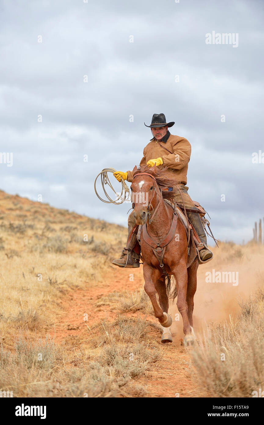 Cowboy Riding Horse with Rope in Hand, Shell, Wyoming, USA Stock Photo ...