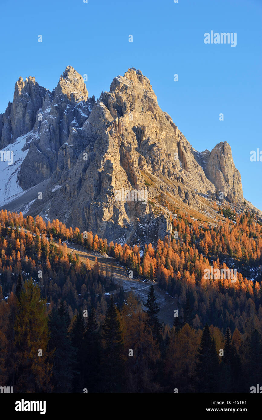 Cadini di Misurina with Forest in Autumn Foliage, Cadore, Belluno ...