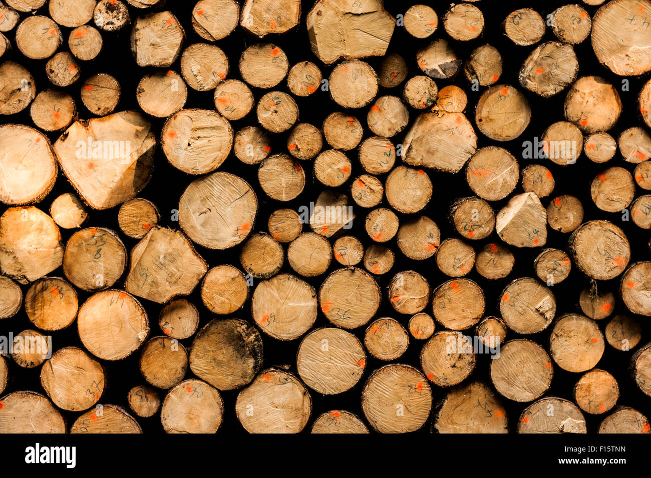 Pile of wood logs ready for winter - landscape exterior Stock Photo - Alamy