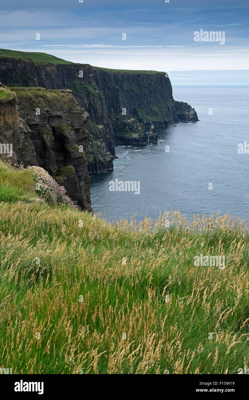 Trail to the Cliffs of Moher viewed from coastal village of Doolin ...