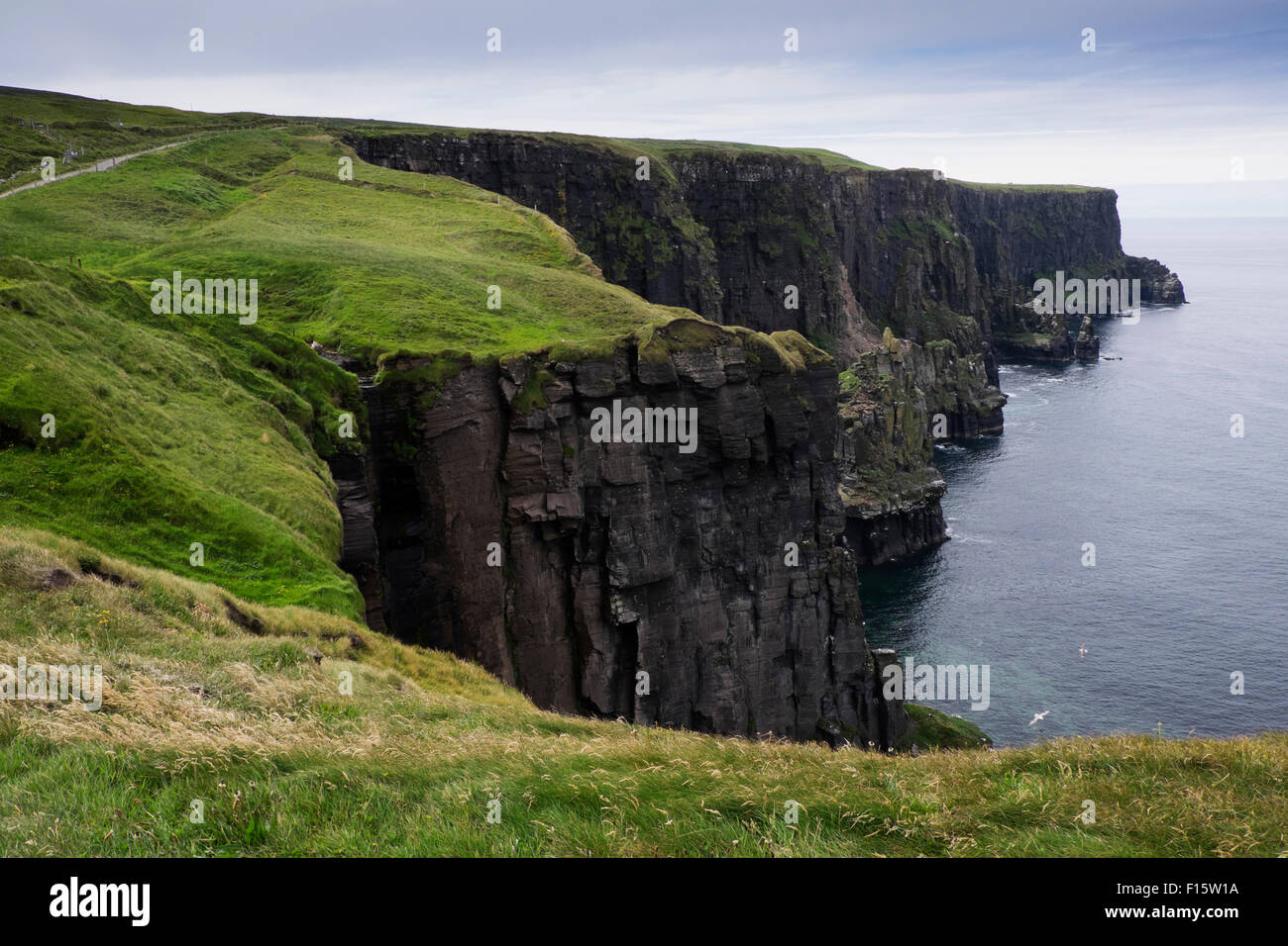 Trail to the Cliffs of Moher from coastal village of Doolin, Republic ...