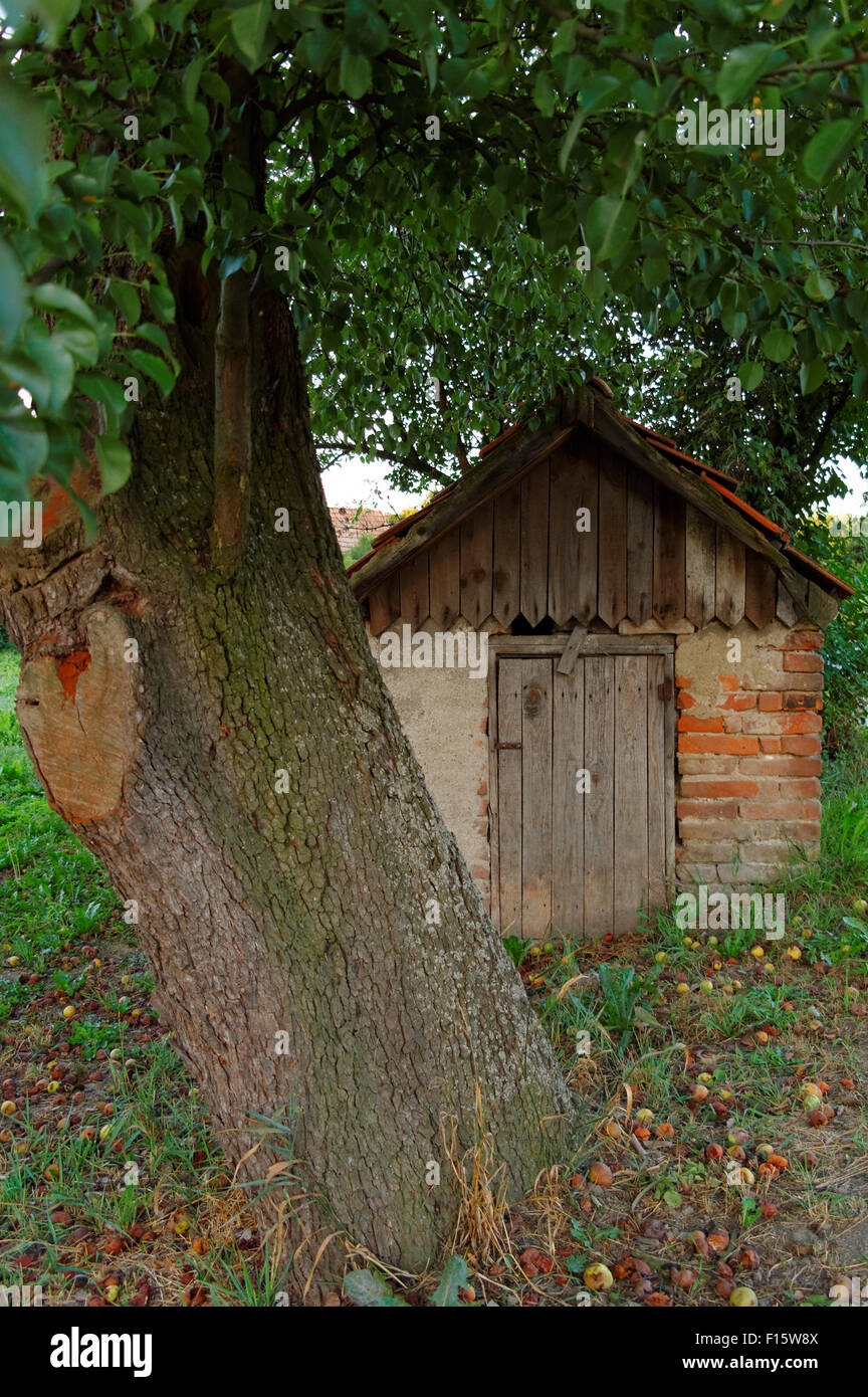old abandoned small brick shed under the tree Stock Photo - Alamy