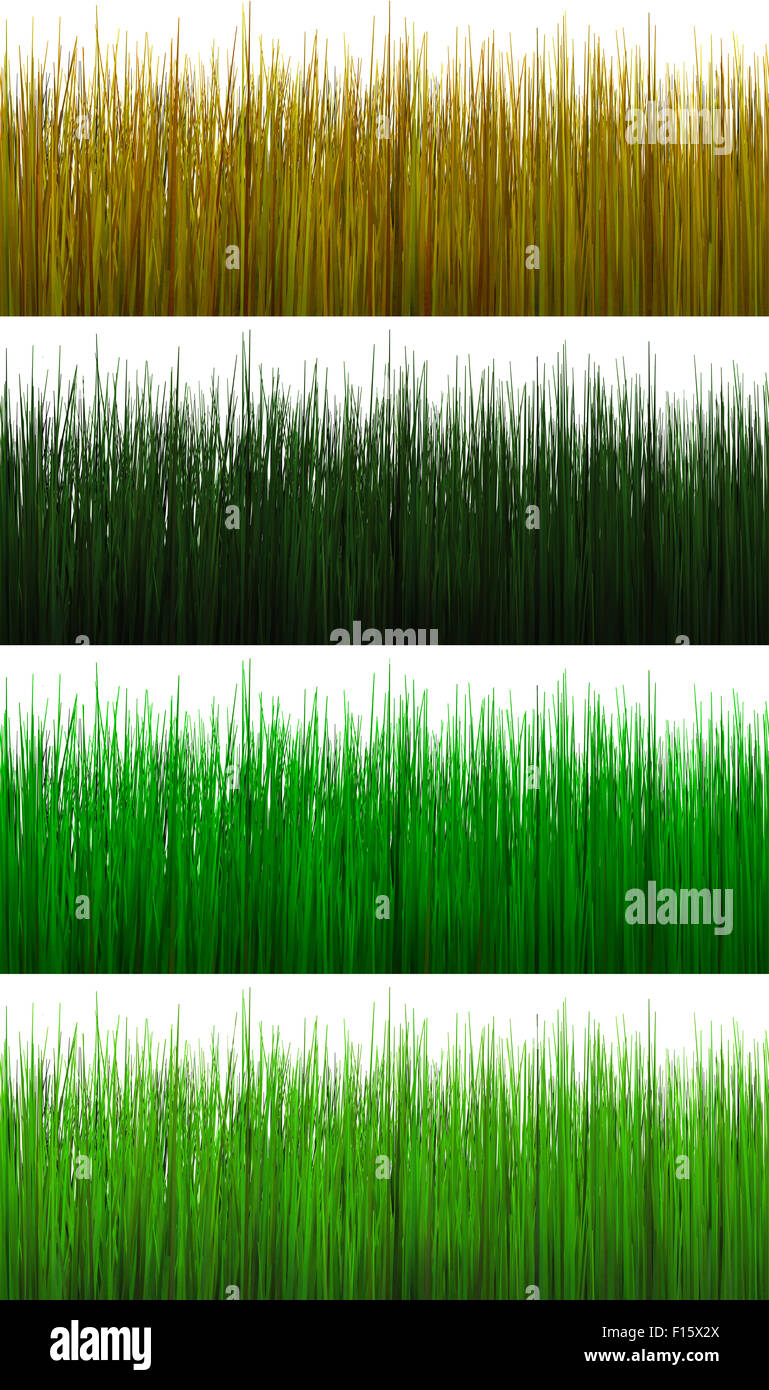 Seasonal grass. Side view. Seamless 3D render. Isolated Stock Photo - Alamy