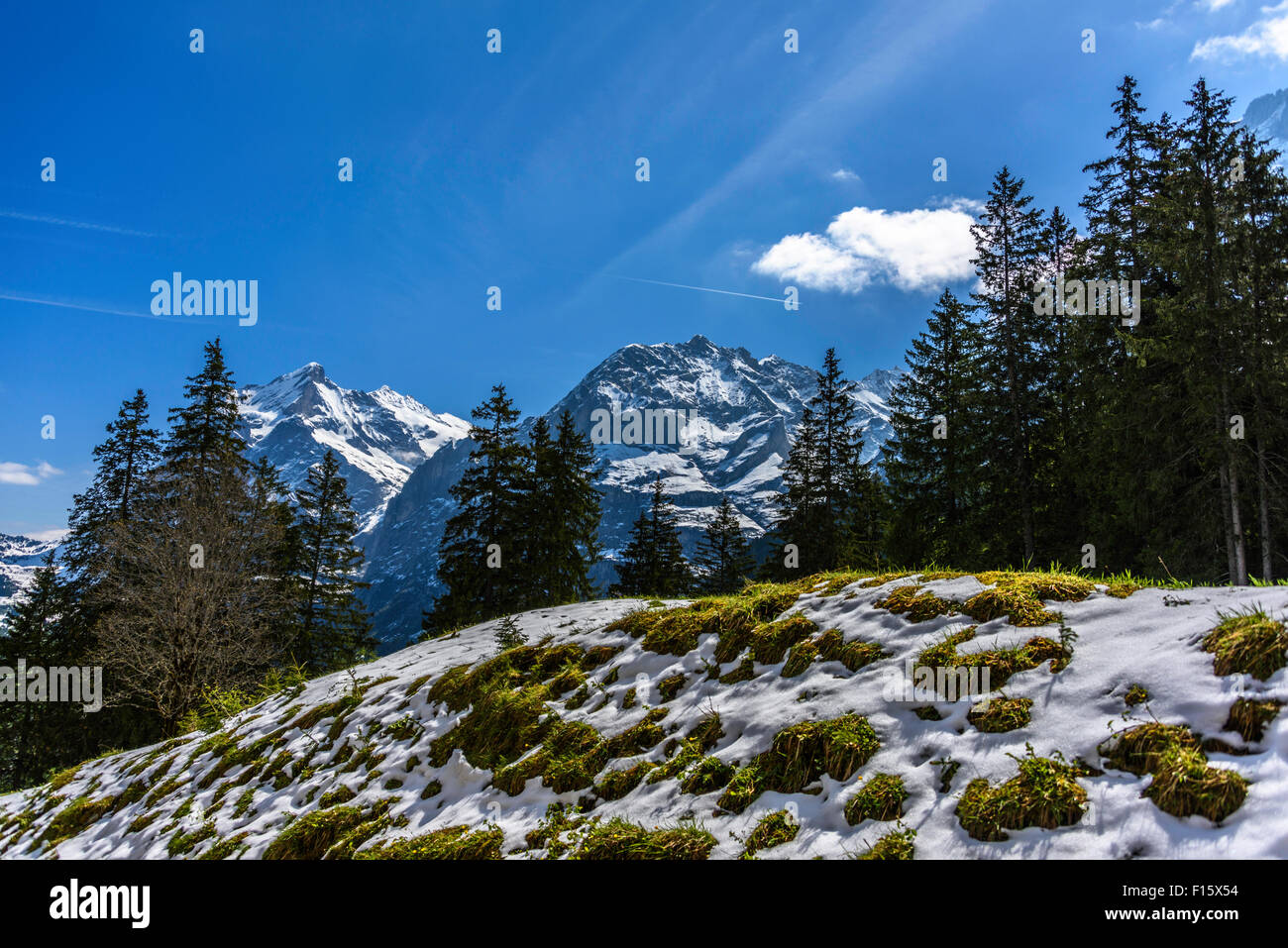 Views from our trip to the Jungfraujoch and Sphinx Observatory via ...