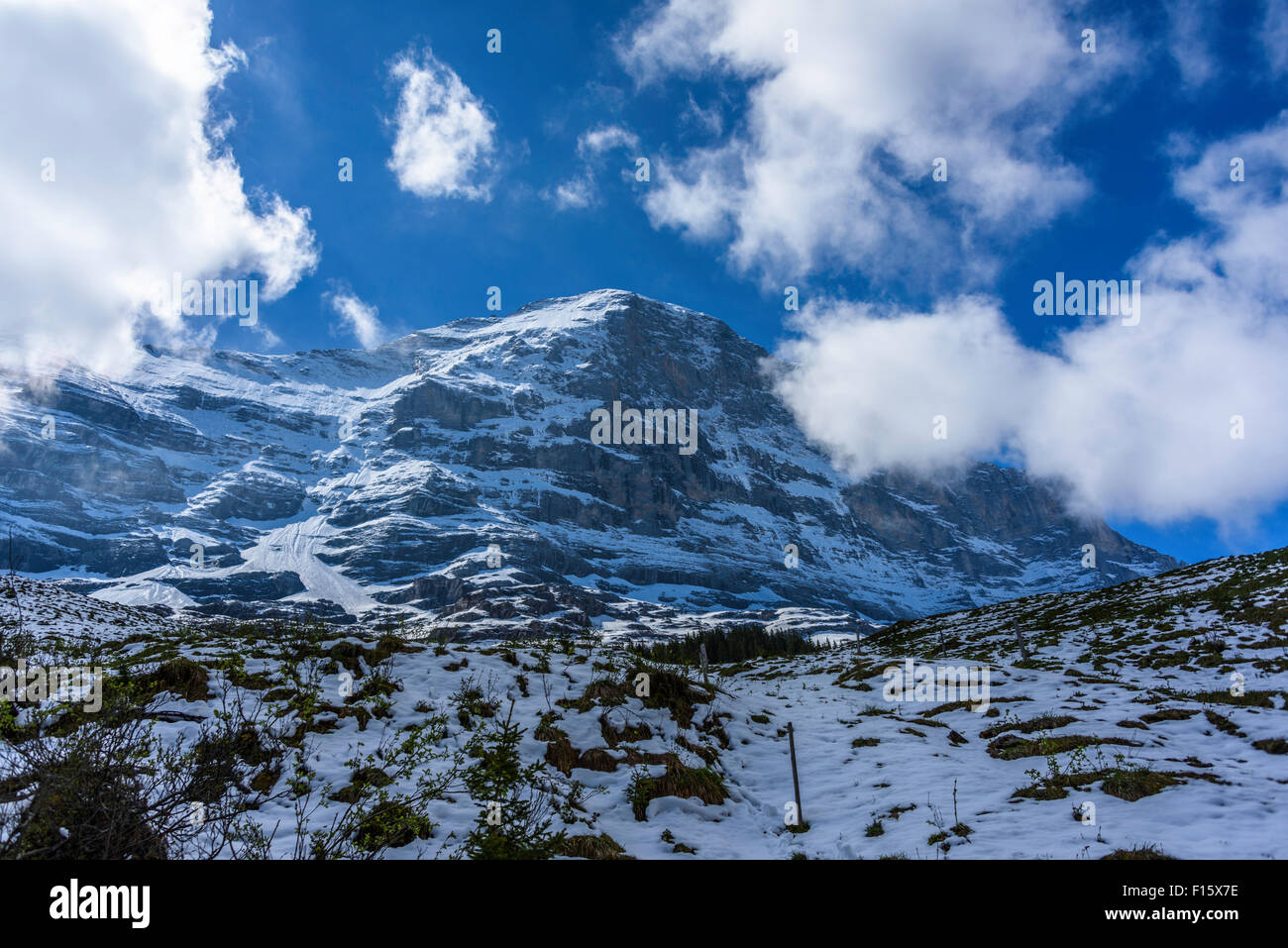 Views from our trip to the Jungfraujoch and Sphinx Observatory via ...