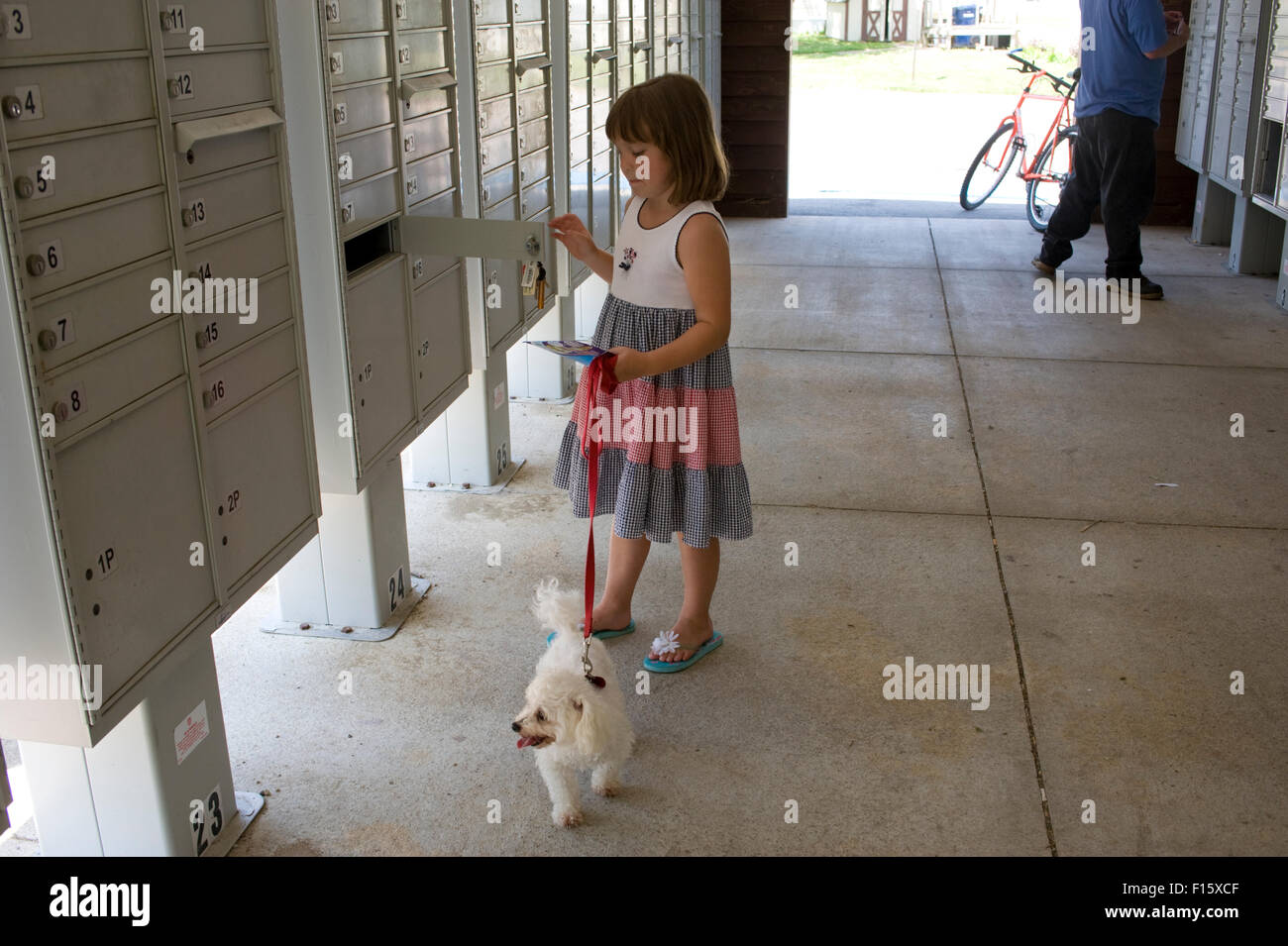 6-7 year old girl getting mail from apartment mailboxes Stock Photo - Alamy