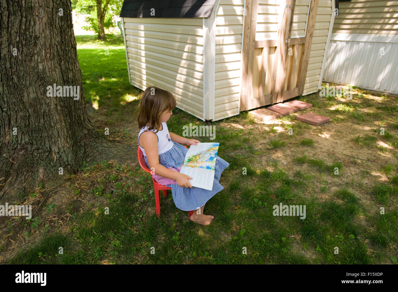 6 year old girl reading under a tree in her front yard Stock Photo - Alamy