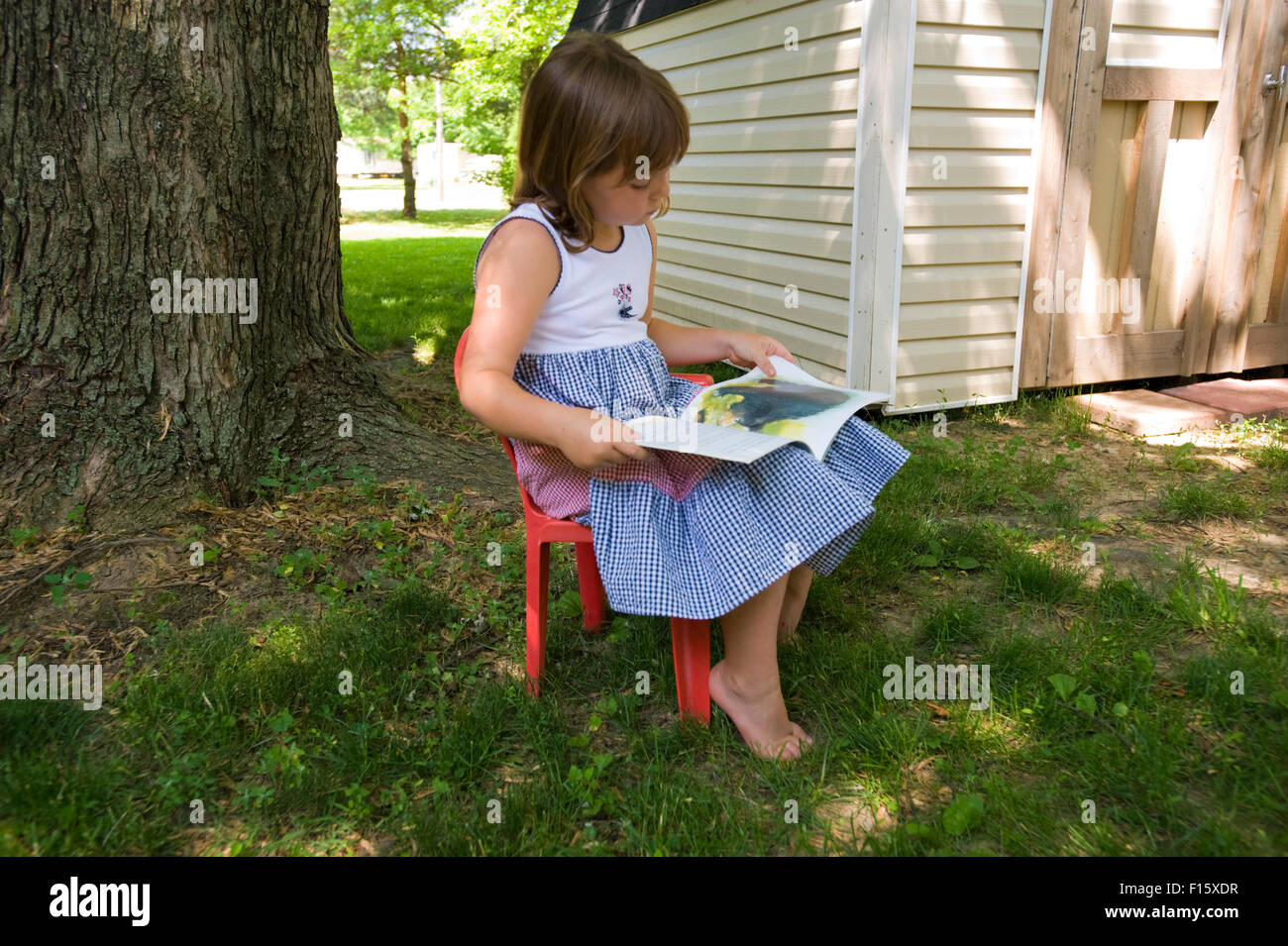 6 year old girl reading under a tree in her front yard Stock Photo - Alamy