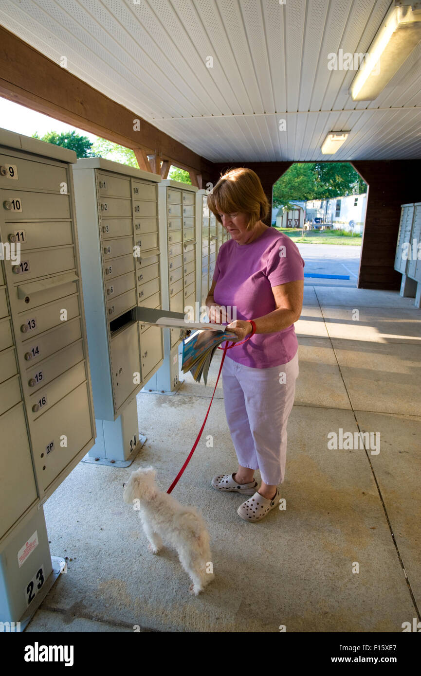 Middle aged woman getting mail from apartment mailboxes Stock Photo - Alamy