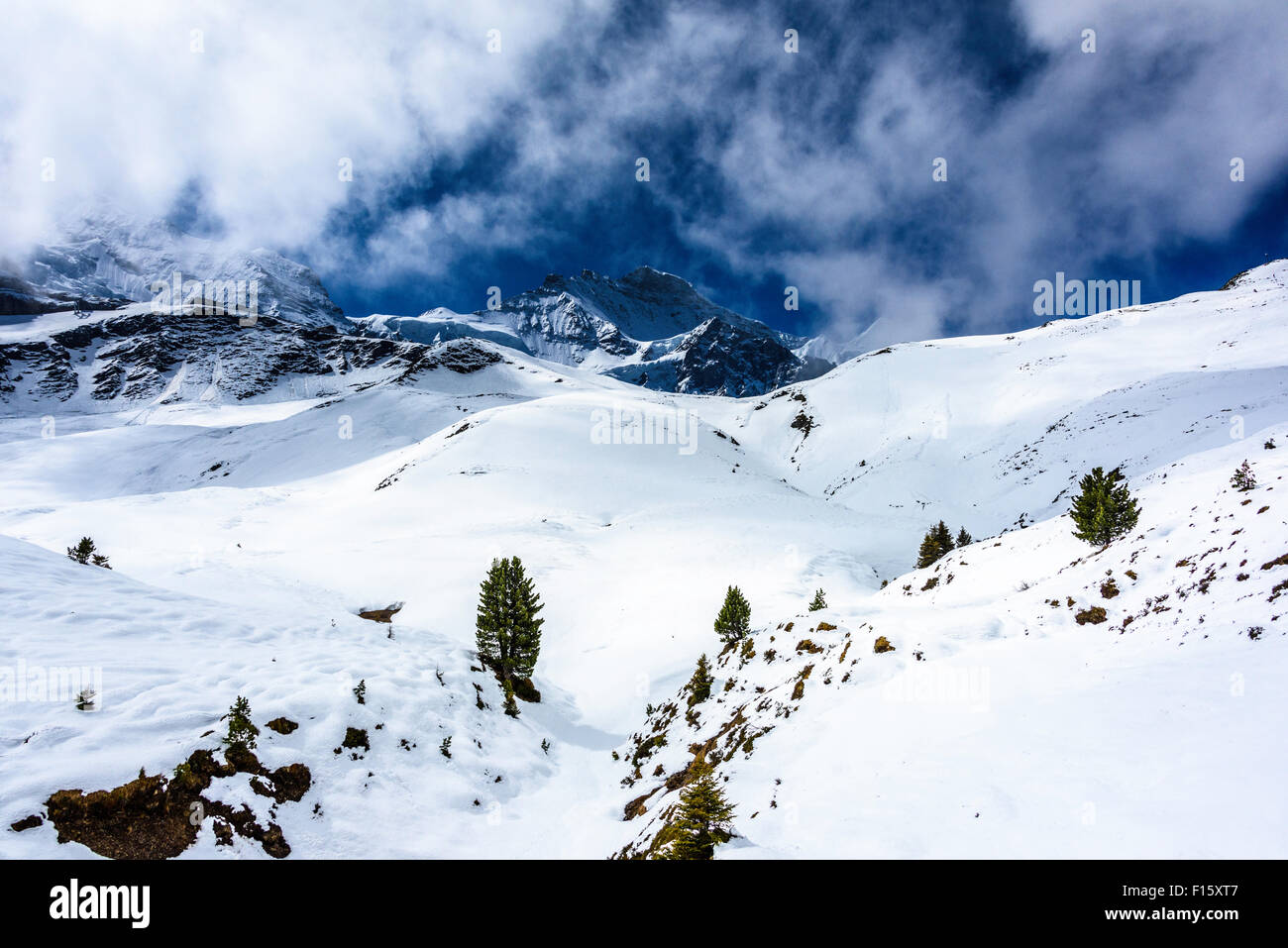 Views from our trip to the Jungfraujoch and Sphinx Observatory via ...