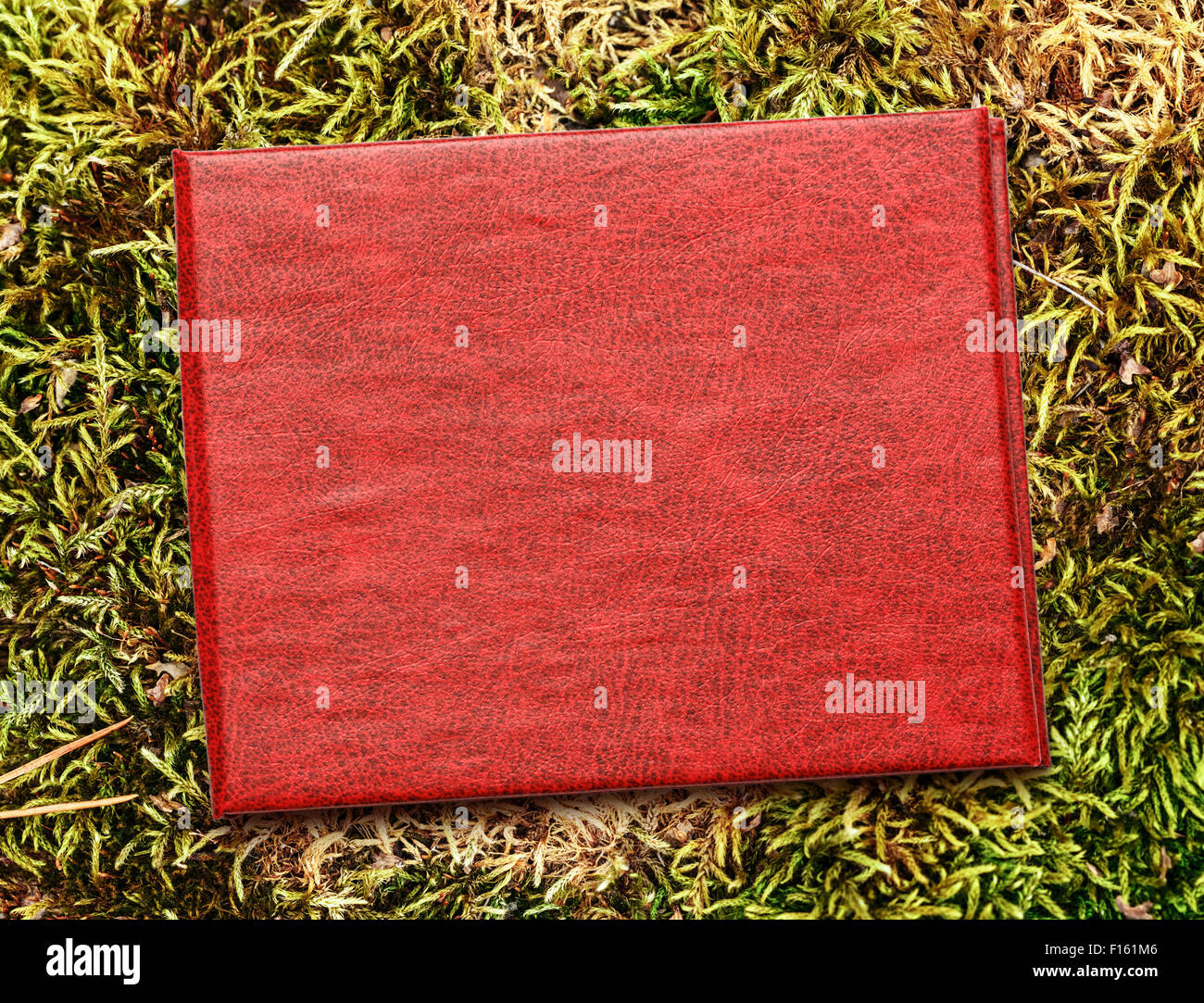 Red blank document cover as background closeup Stock Photo - Alamy