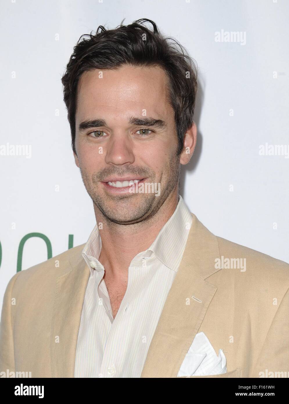 Los Angeles, CA, USA. 27th Aug, 2015. David Walton at arrivals for BREAKPOINT Premiere, TCL ...