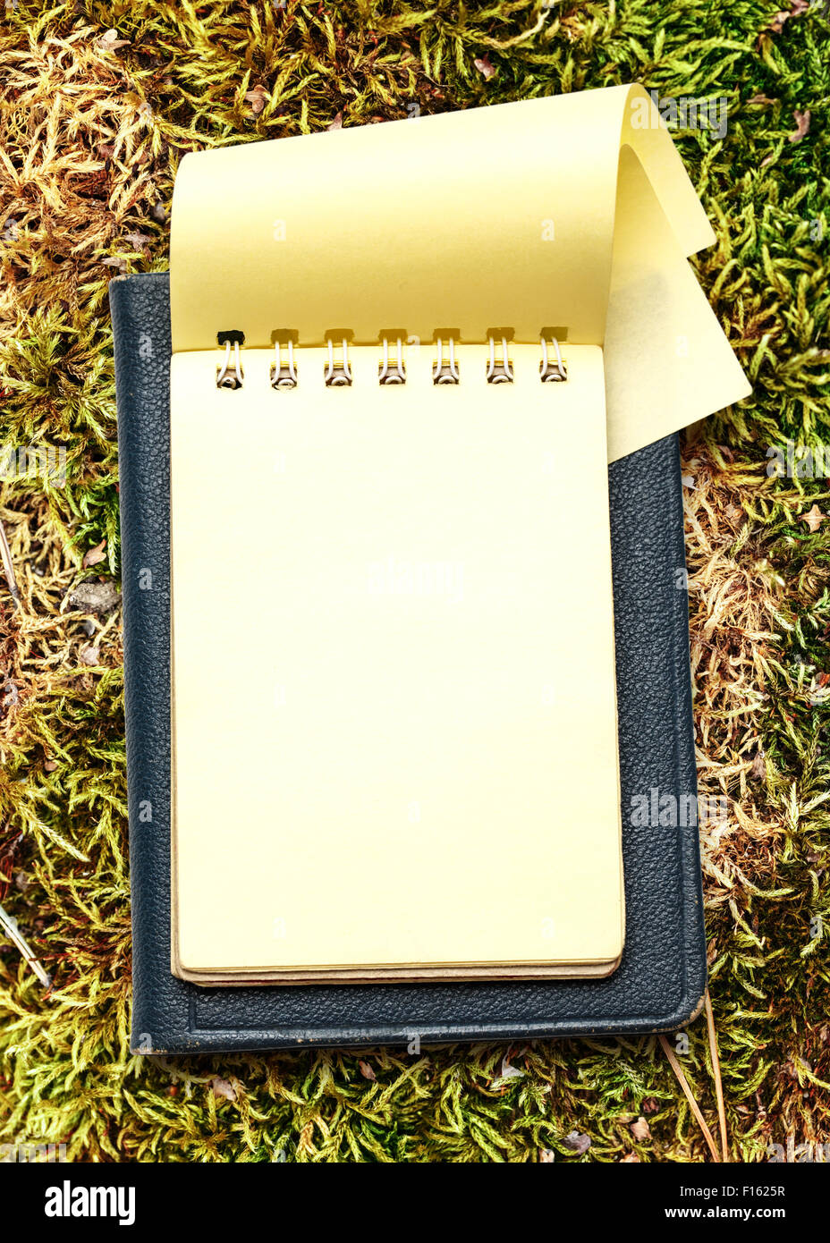Yellow blank notepad with open page closeup Stock Photo - Alamy