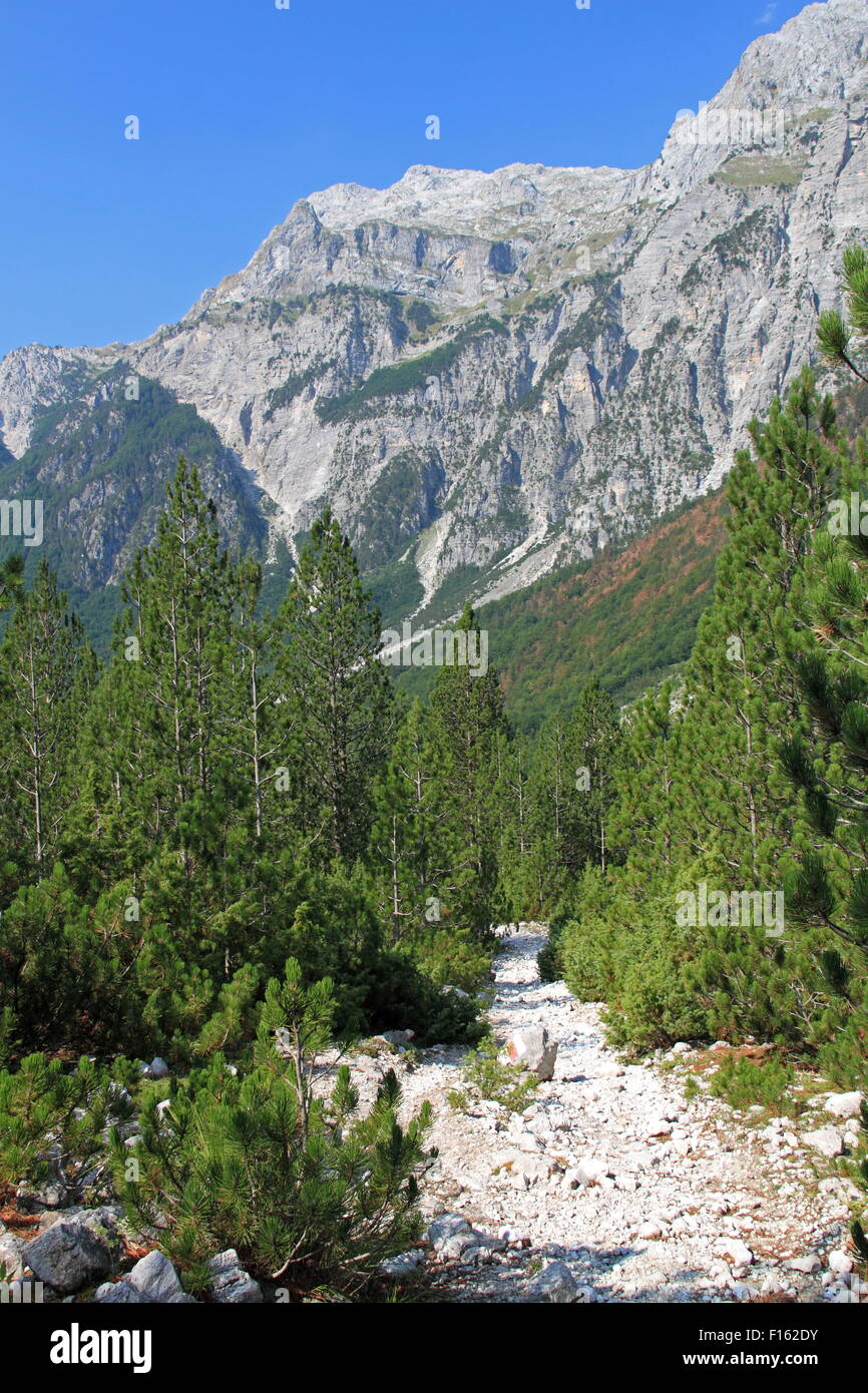 Peja Pass seen from Thethi valley, Thethi National Park, Shkodra ...