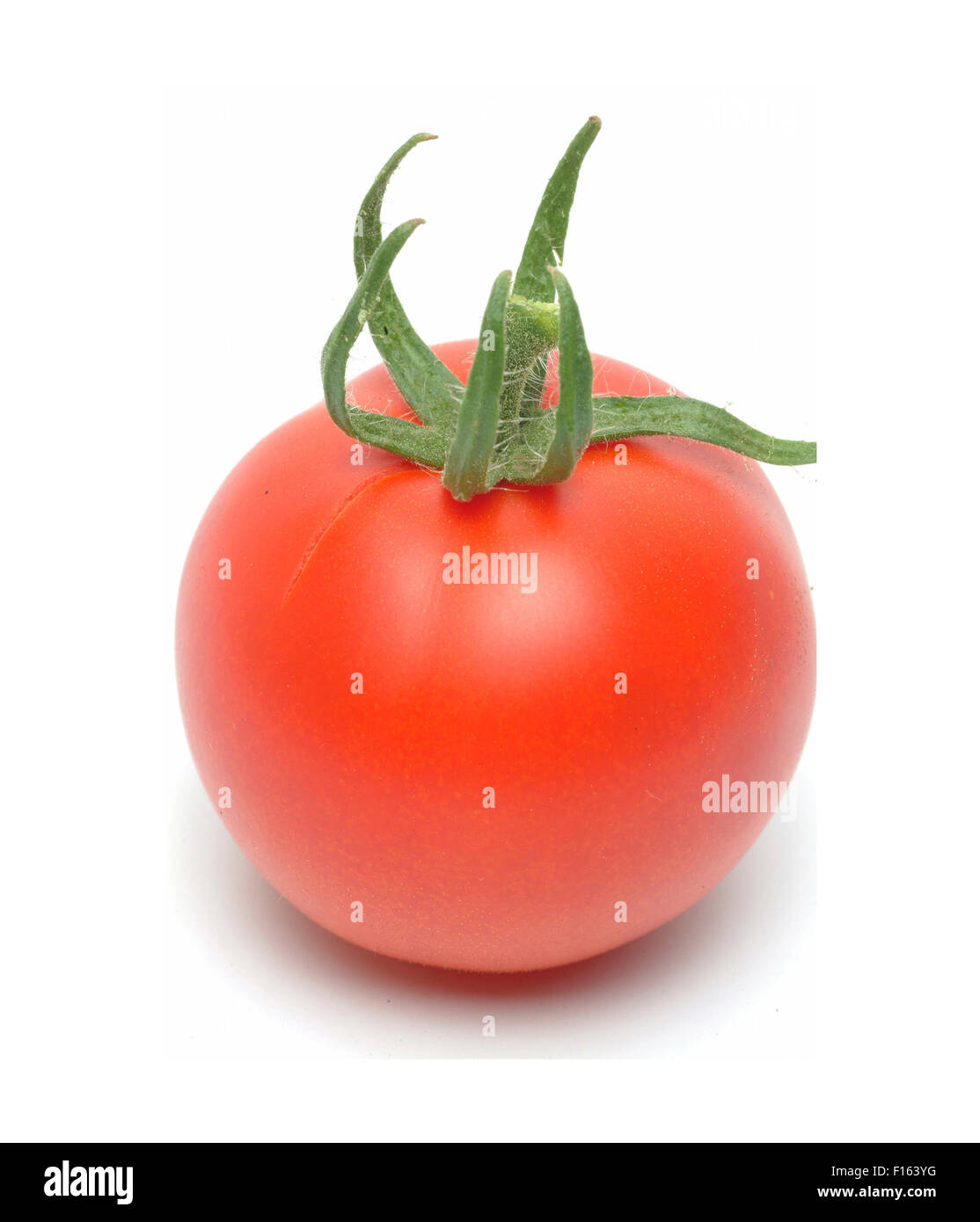 Bush Tomato Stock Photos & Bush Tomato Stock Images - Alamy