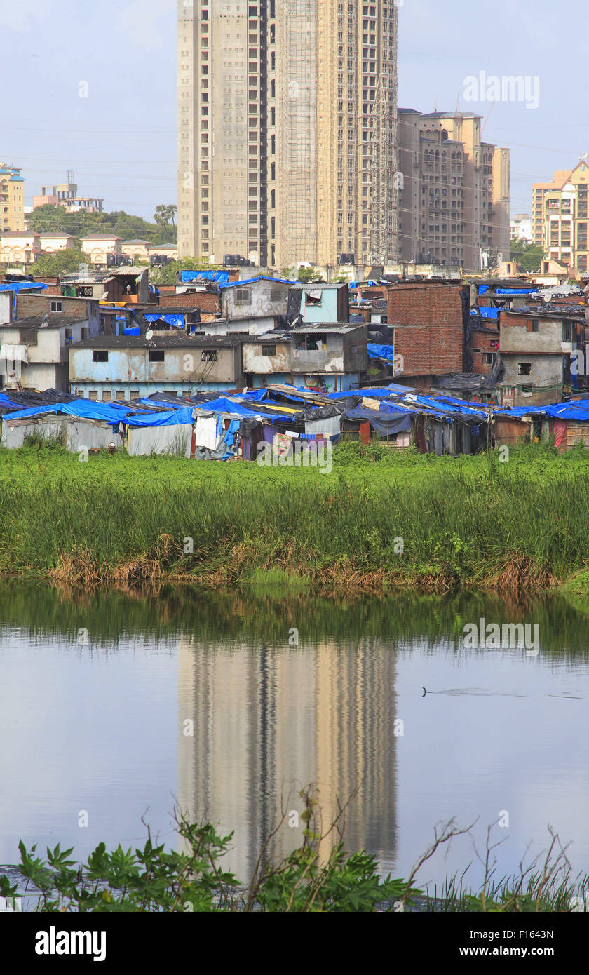 Urbanization mangrove hi-res stock photography and images - Alamy