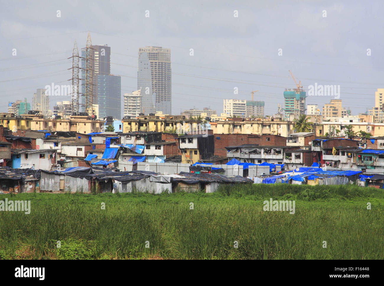Urbanization mangrove hi-res stock photography and images - Alamy
