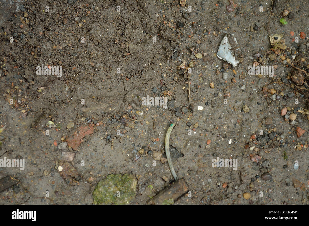 Close-up of soil background Stock Photo - Alamy