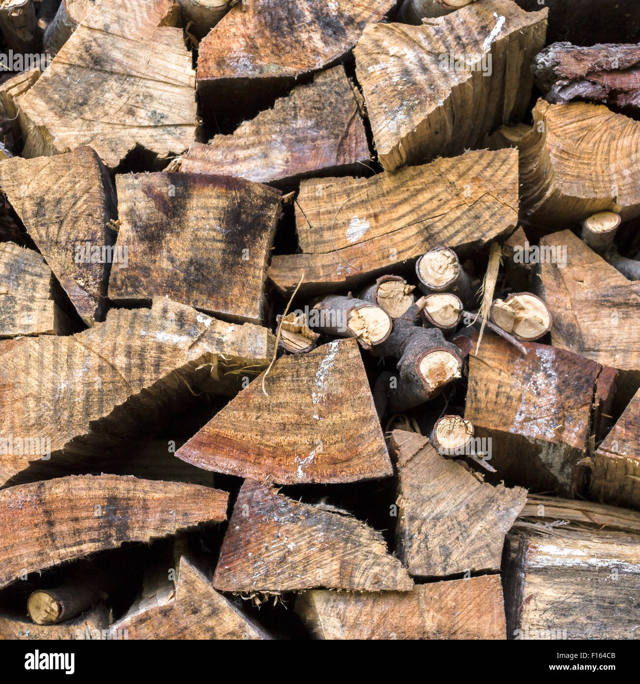 Various sizes hardwood timber hi-res stock photography and images - Alamy