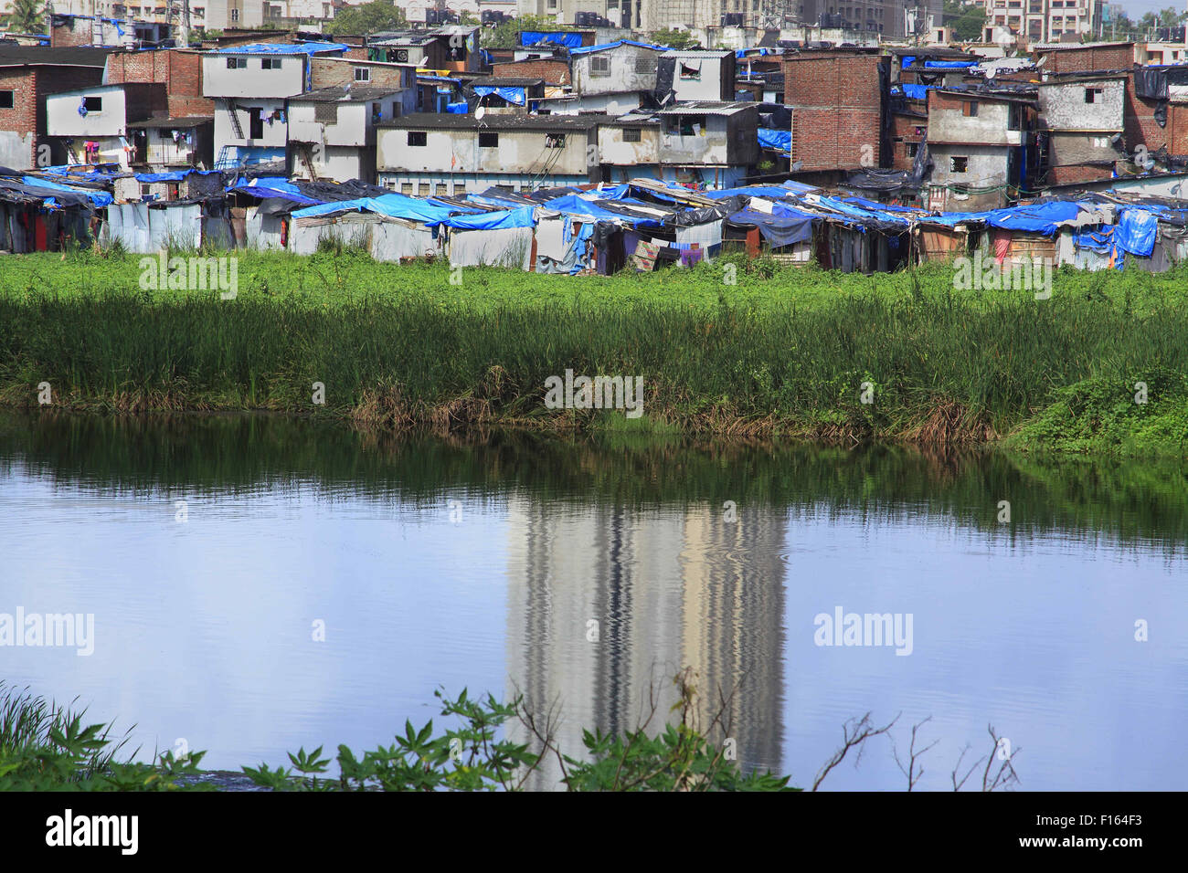 Mumbai, Maharshtra, India. 21st Aug, 2015. 21 Aug 2015, Mumbai - INDIA ...