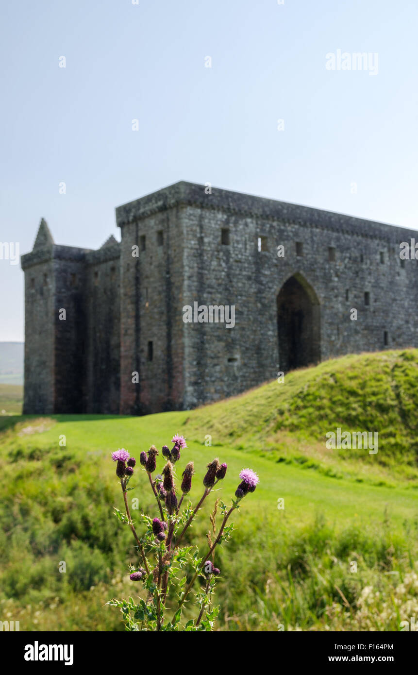Historic Scotland's Hermitage Castle, from the moat at Liddesdale, nr ...