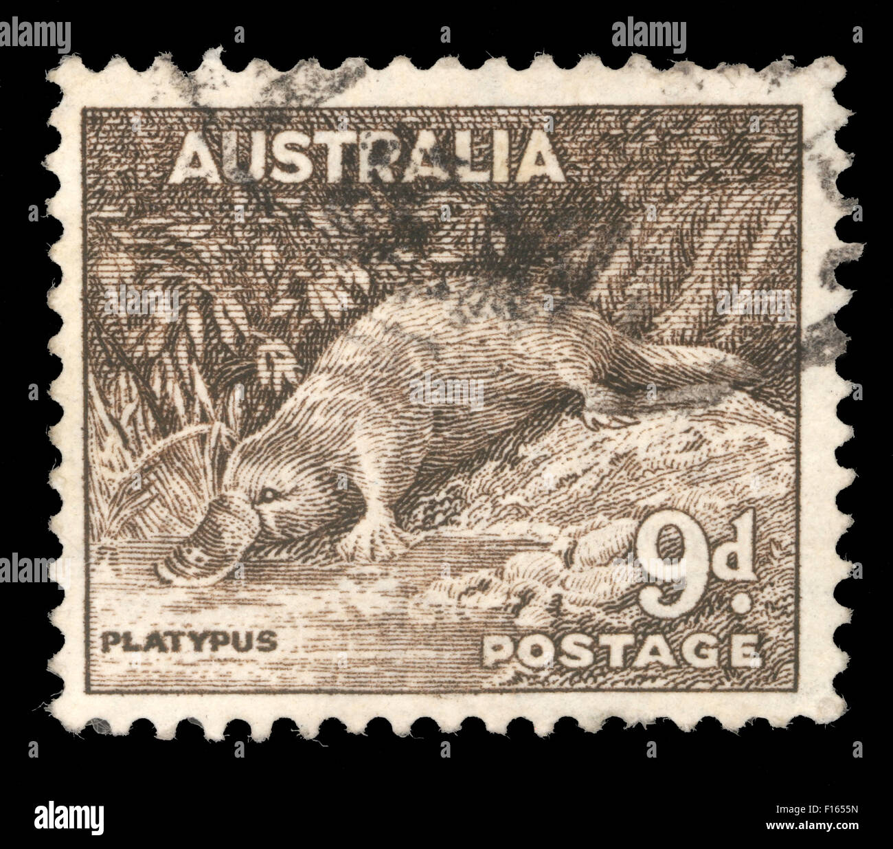 Platypus australia postage stamp hi-res stock photography and images ...