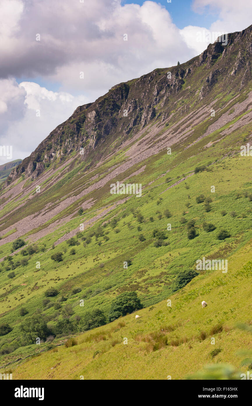 Geomorphology: Scree forming at the base of rocky cliffs in the U ...