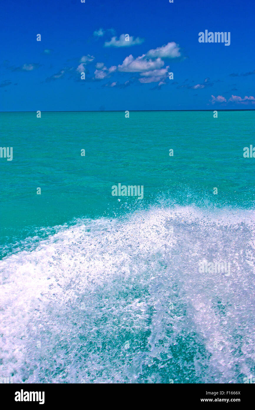 ground in mexico froath and blue foam the sea drop sunny day wave Stock ...