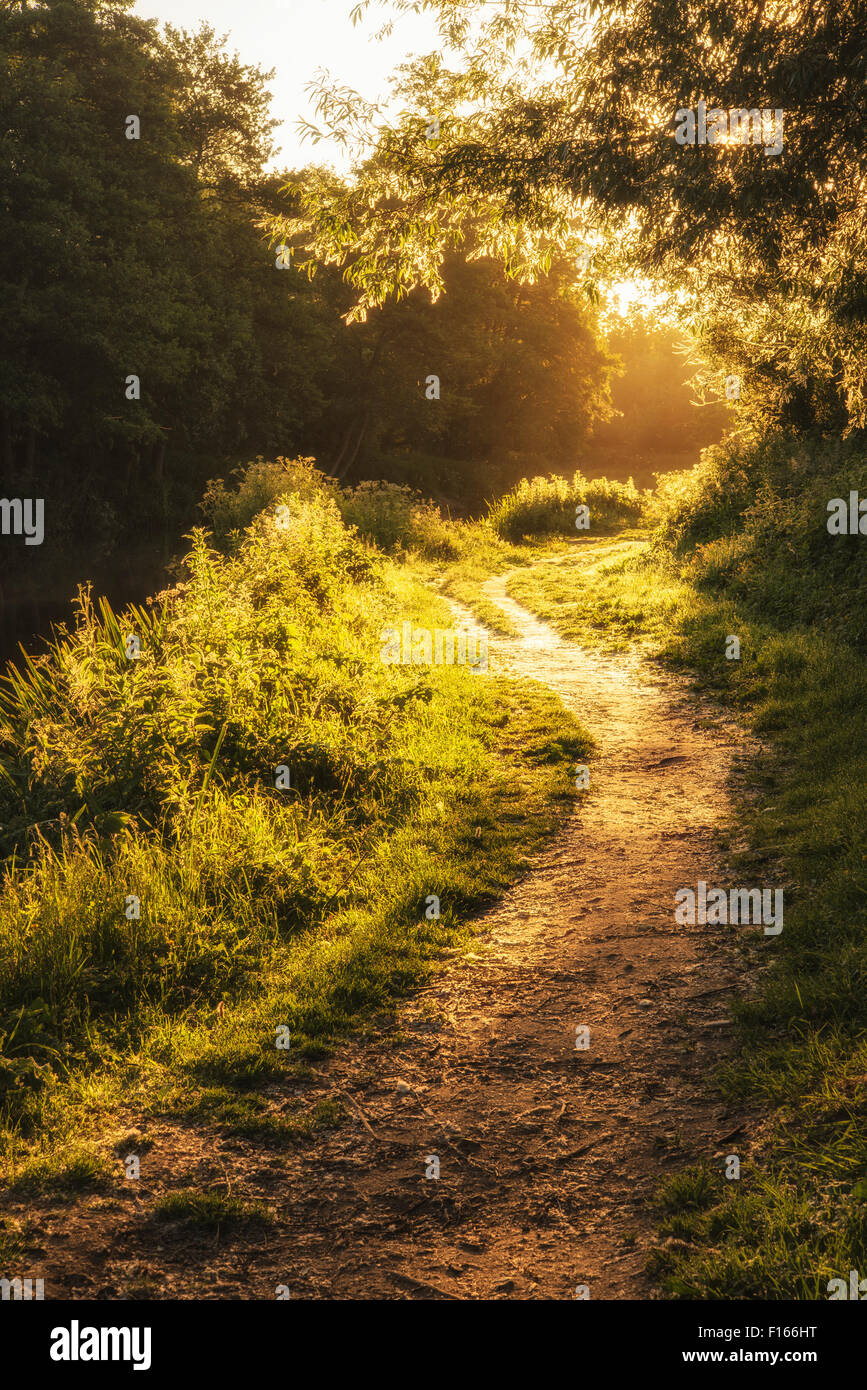 Beautiful sunrise landscape of sunlight glowing on footpath in trees ...