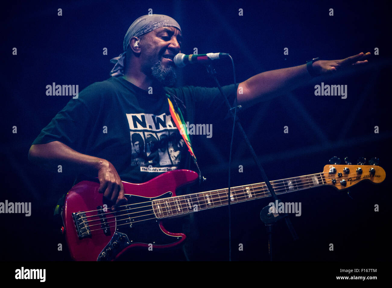 Thomas gobena gogol bordello hi-res stock photography and images - Alamy