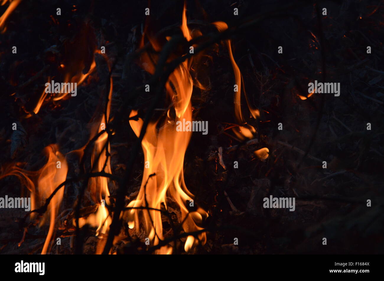 Fire in the Night Stock Photo - Alamy