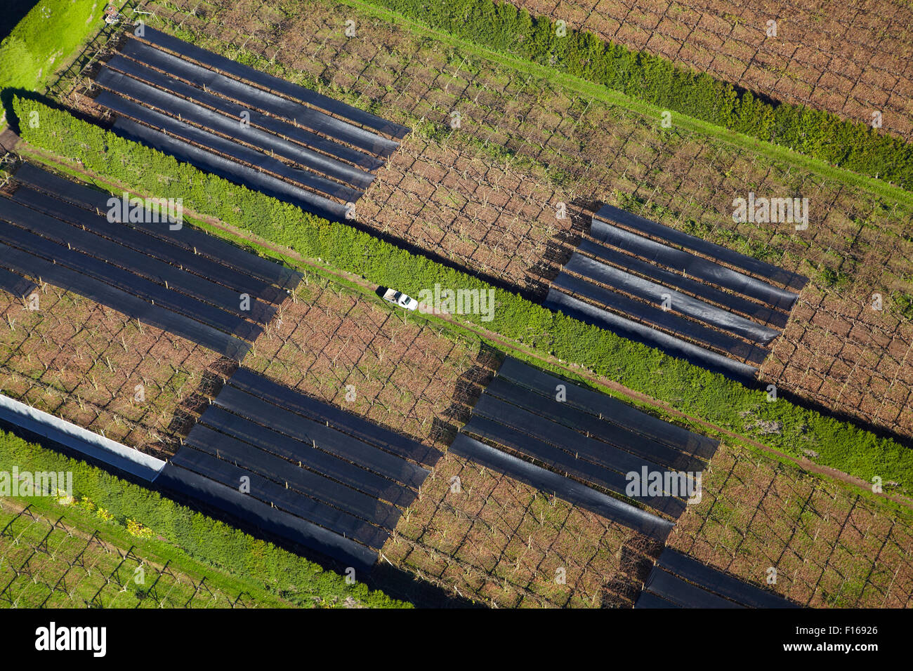 Fields near Kumeu, Auckland, North Island, New Zealand - aerial Stock ...