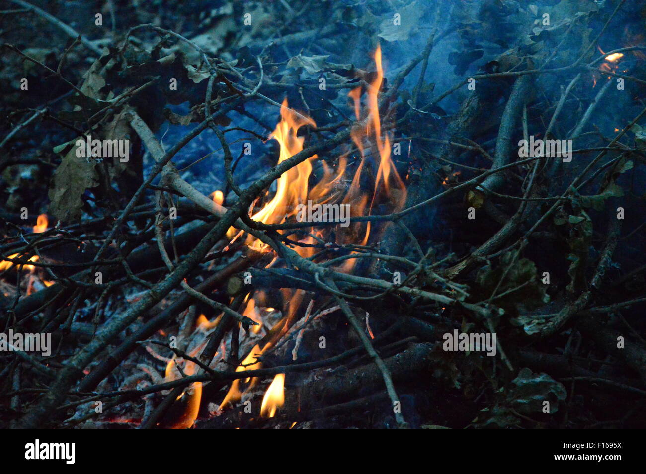 Fire in the Night Stock Photo - Alamy