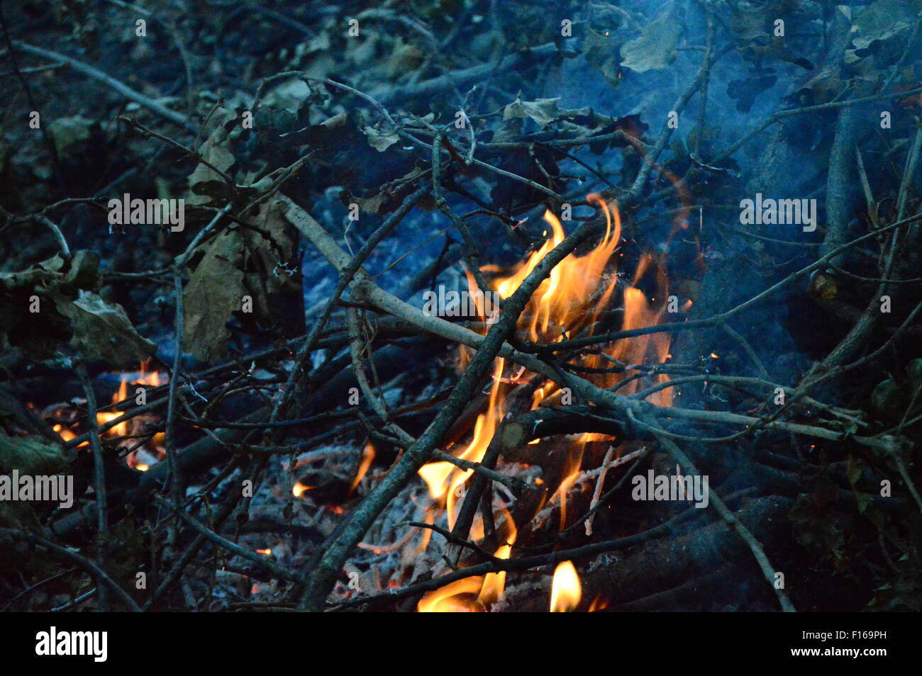 Fire in the Night Stock Photo - Alamy