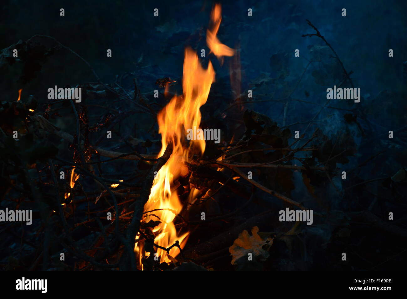 Fire in the Night Stock Photo - Alamy