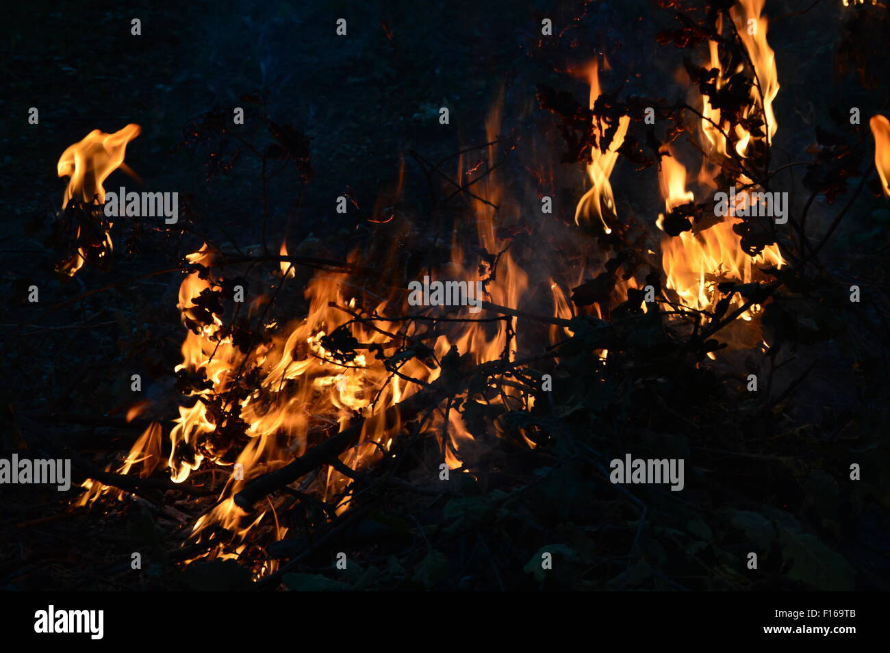 Fire in the Night Stock Photo - Alamy