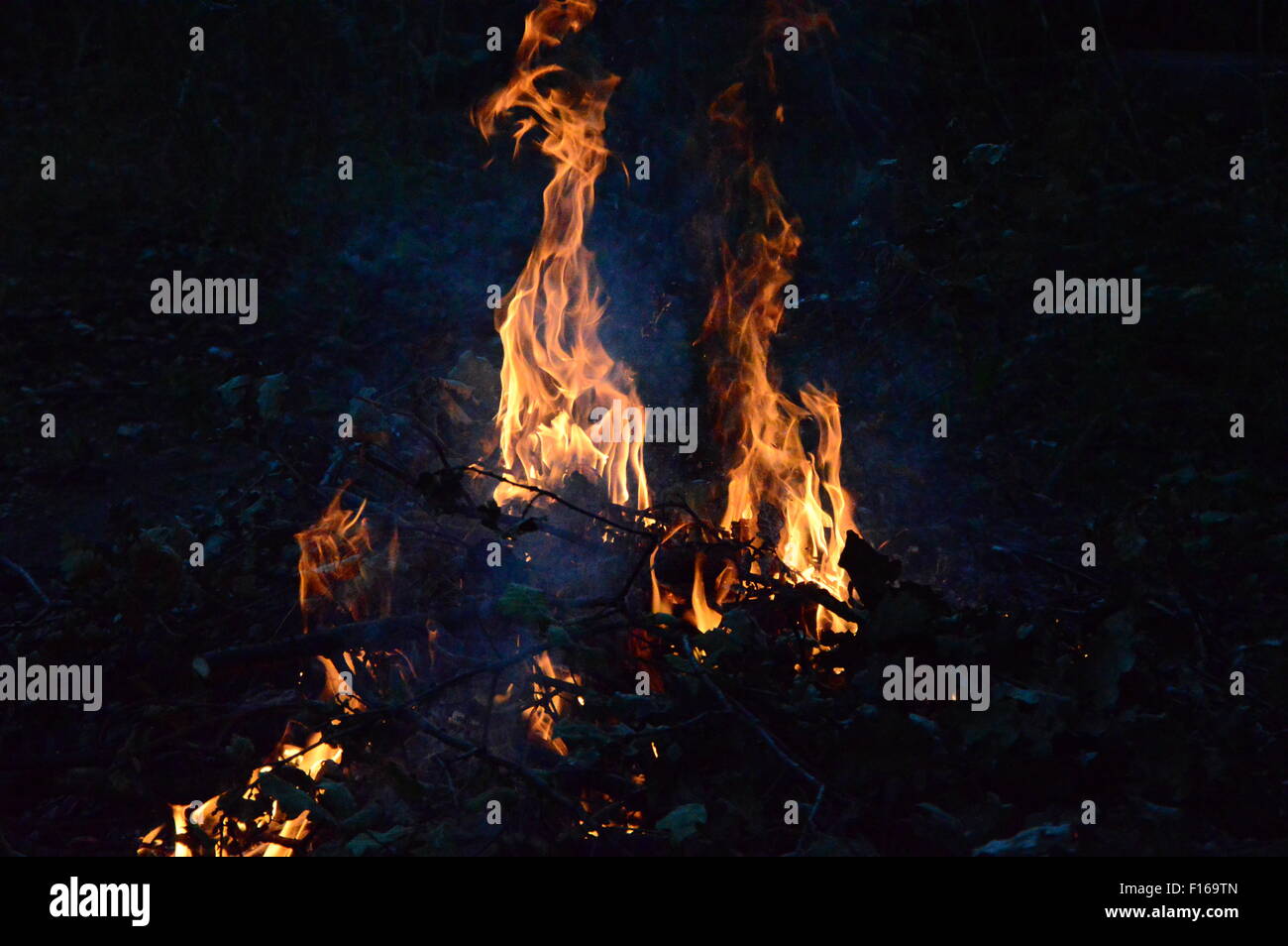 Fire in the Night Stock Photo - Alamy