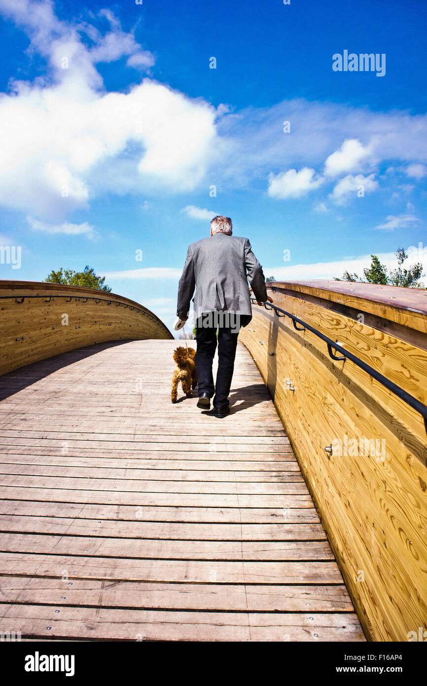 Walking the pet hi-res stock photography and images - Alamy