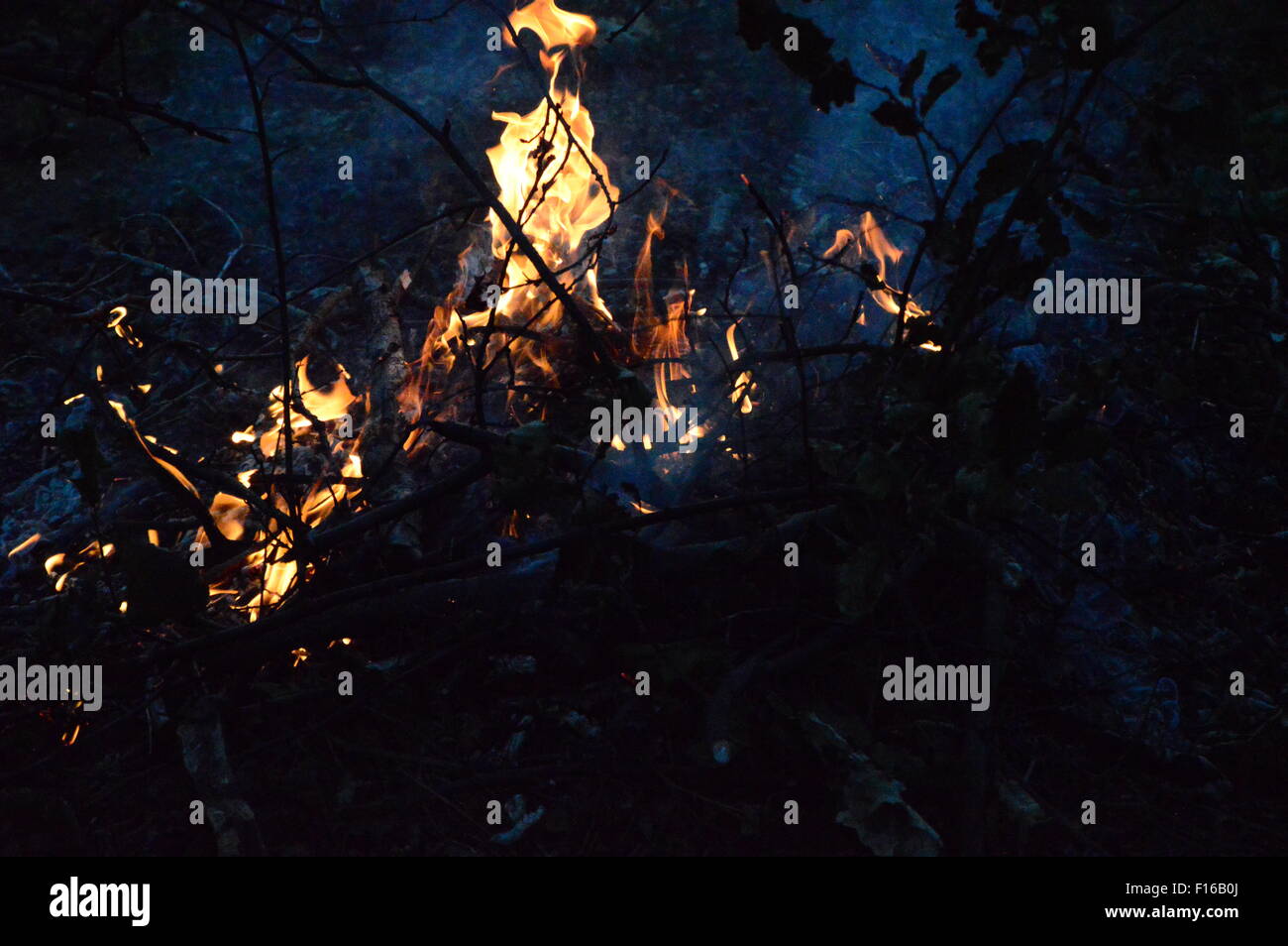 Fire in the Night Stock Photo - Alamy
