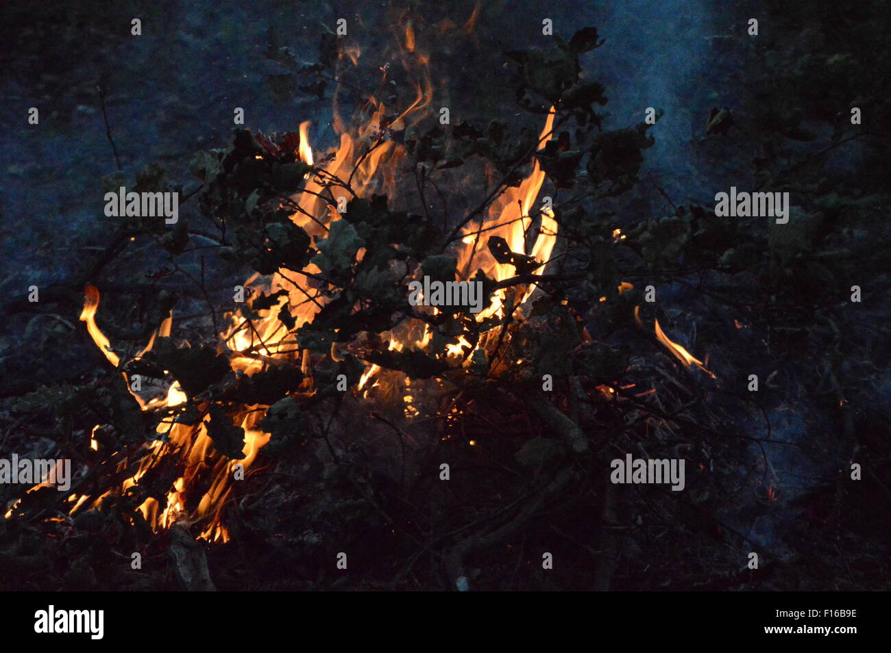 Fire in the Night Stock Photo - Alamy