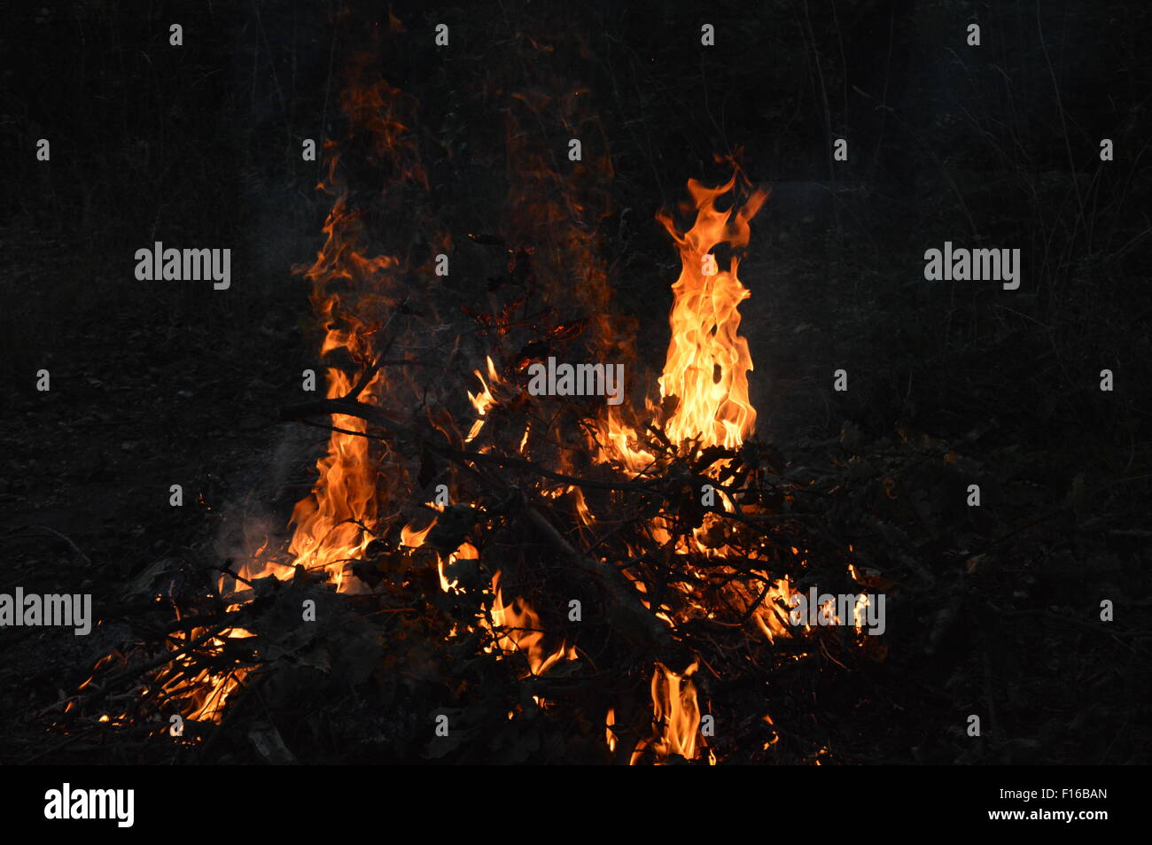 Fire in the Night Stock Photo - Alamy