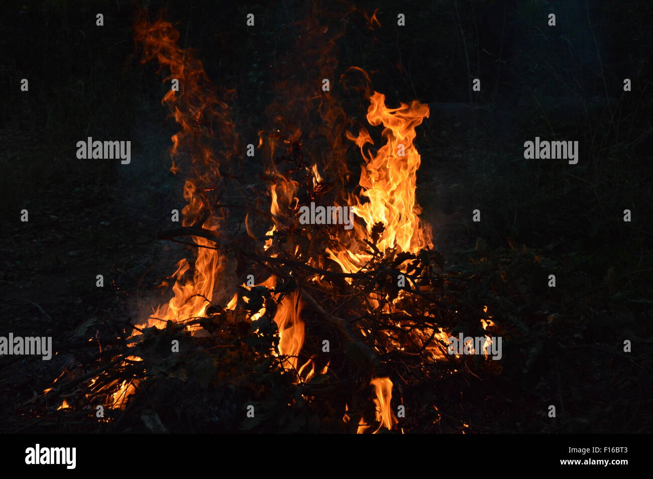 Fire department at night hi-res stock photography and images - Alamy