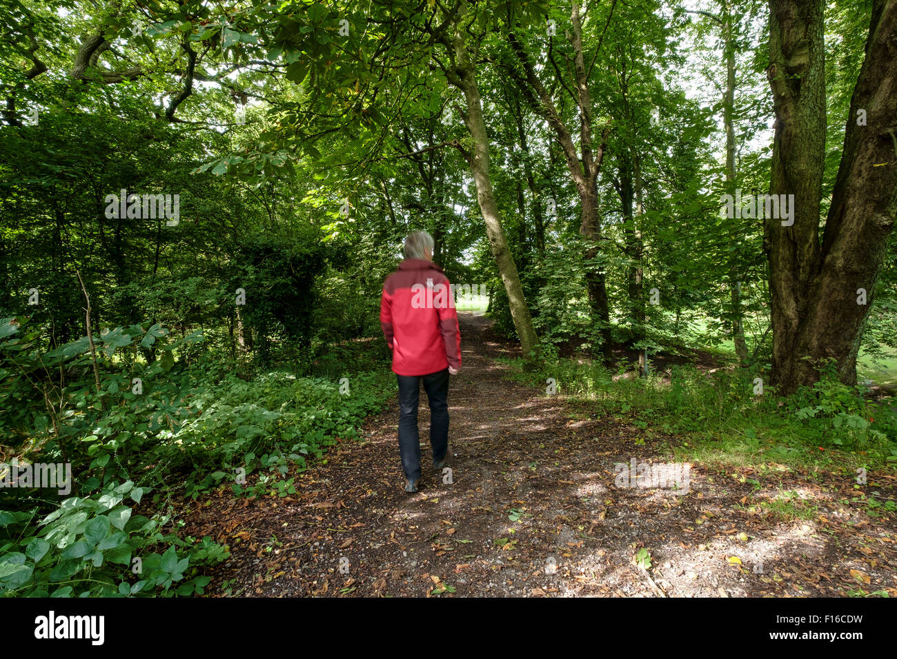Man walking down path hi-res stock photography and images - Alamy
