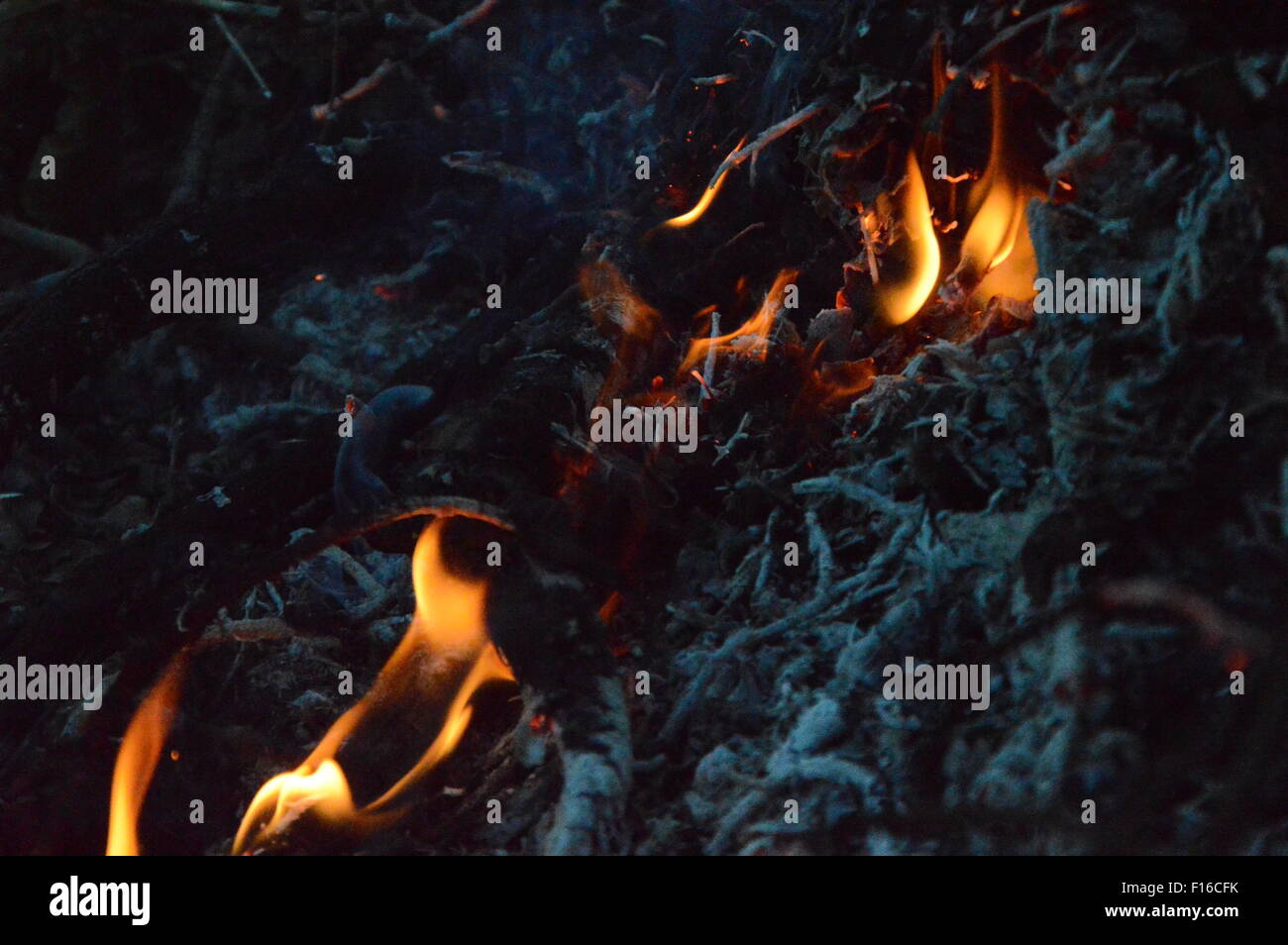 Fire in the Night Stock Photo - Alamy