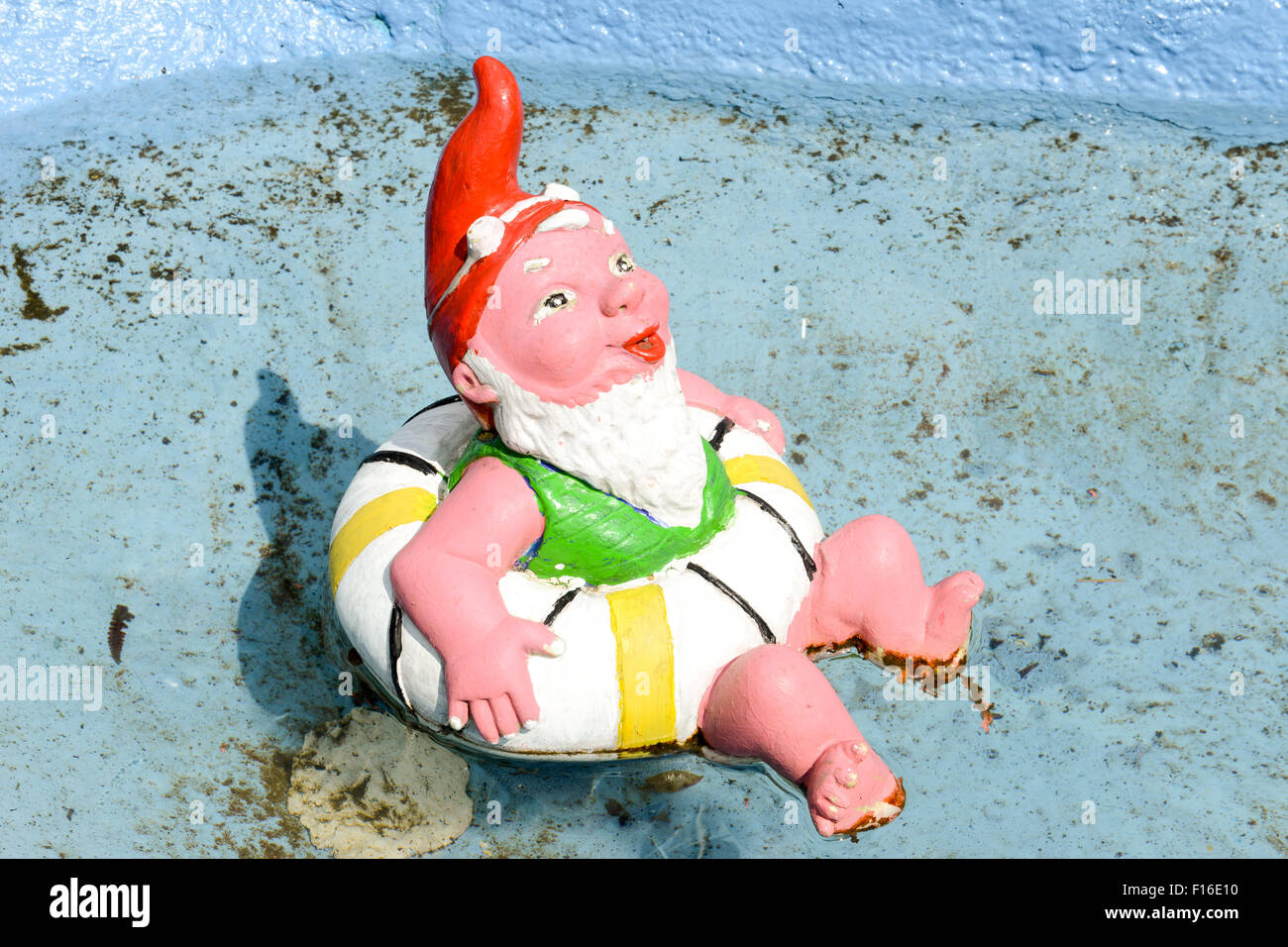 Garden gnome in a swimming pool Stock Photo - Alamy